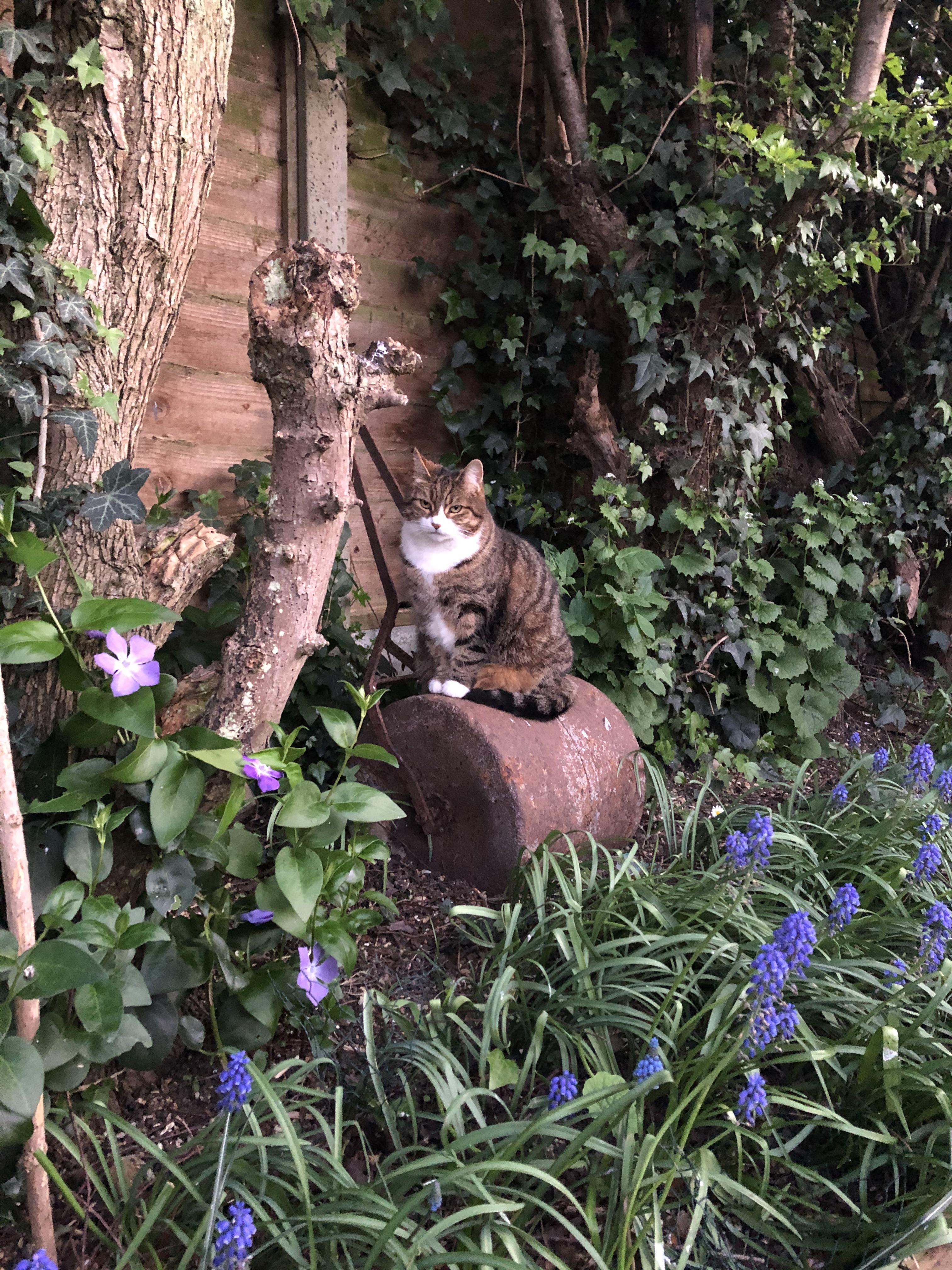 Finally caught her looking serene | Scrolller