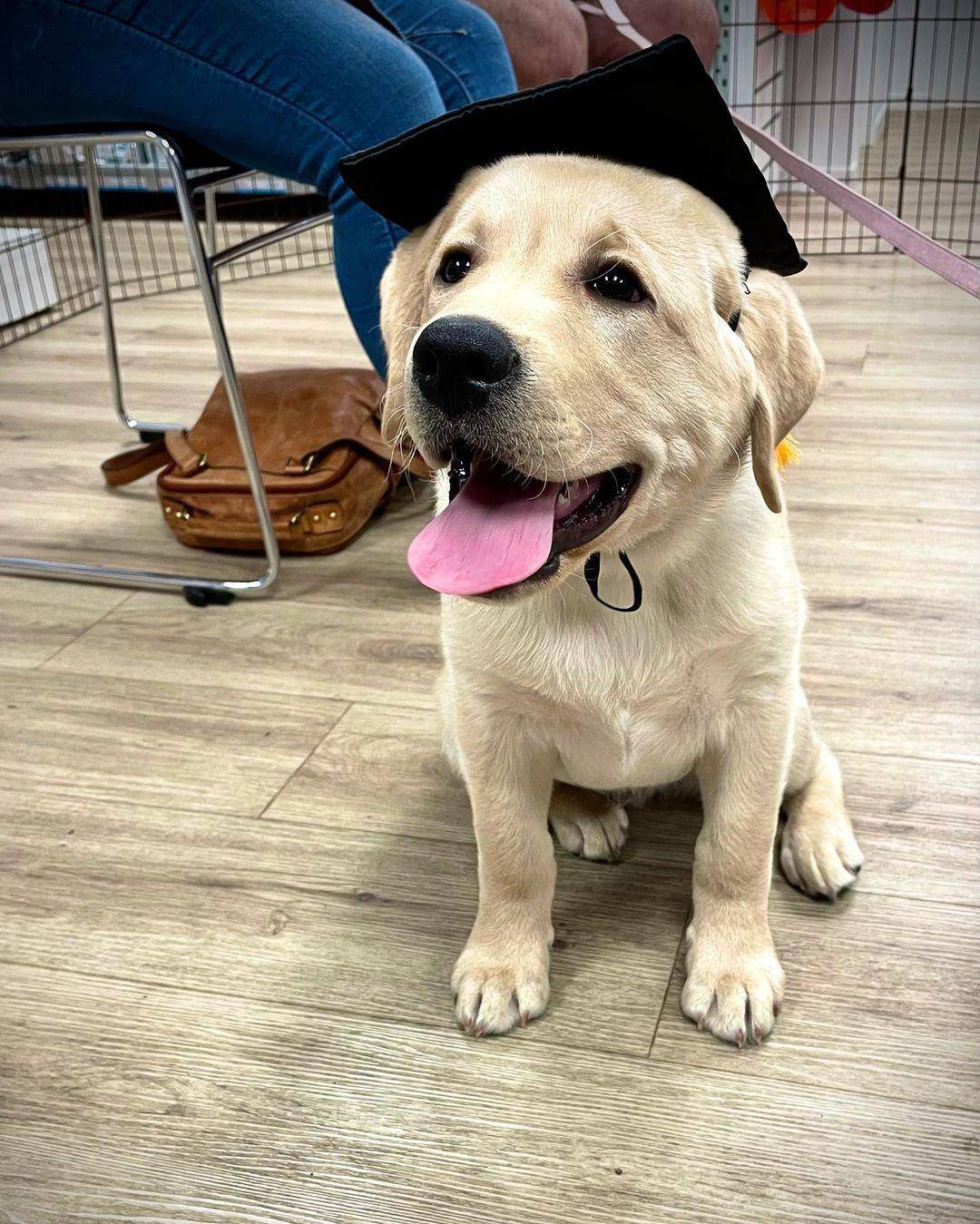 Finally graduated | Scrolller