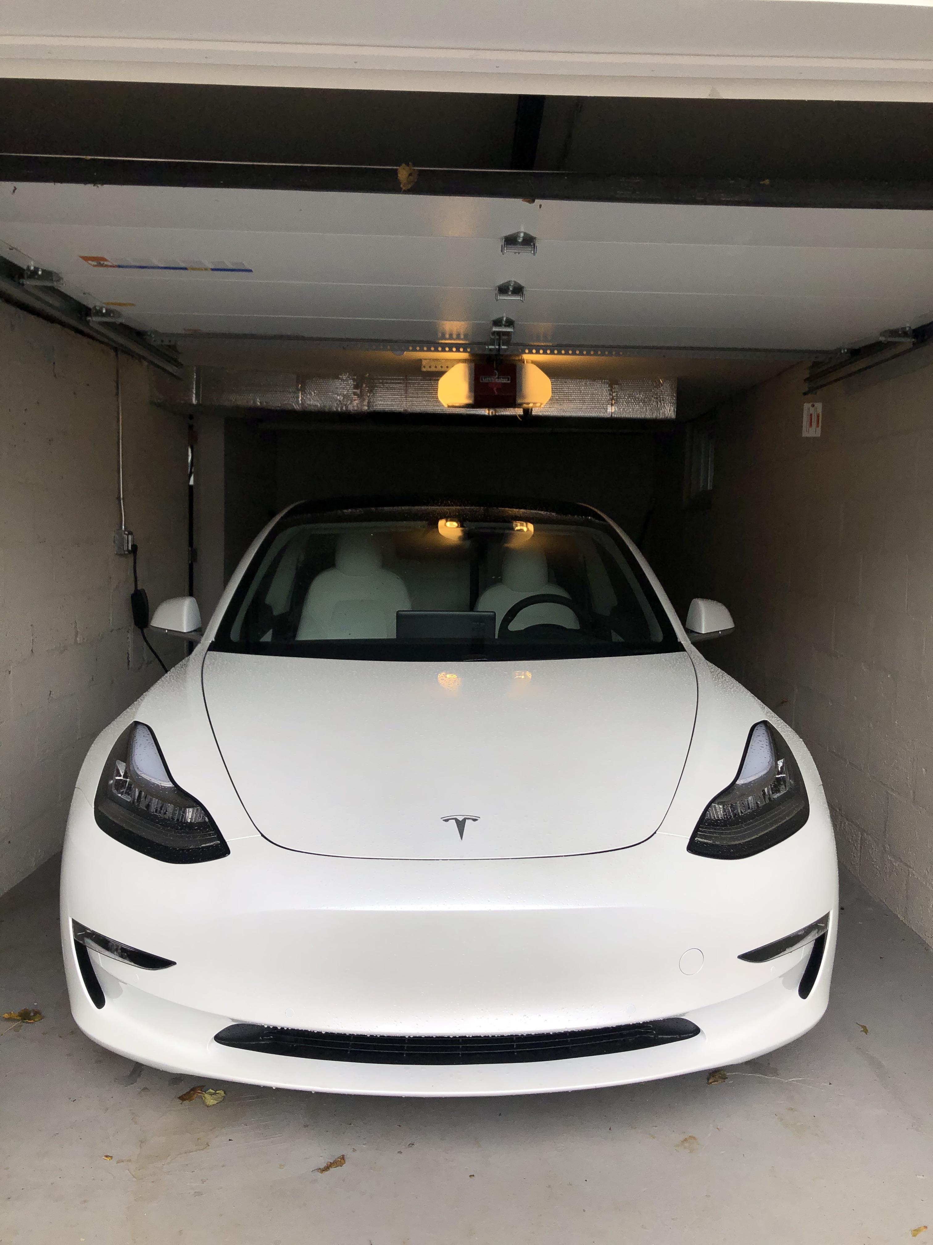 Finally pulled the trigger. Meet Lulu. | Scrolller