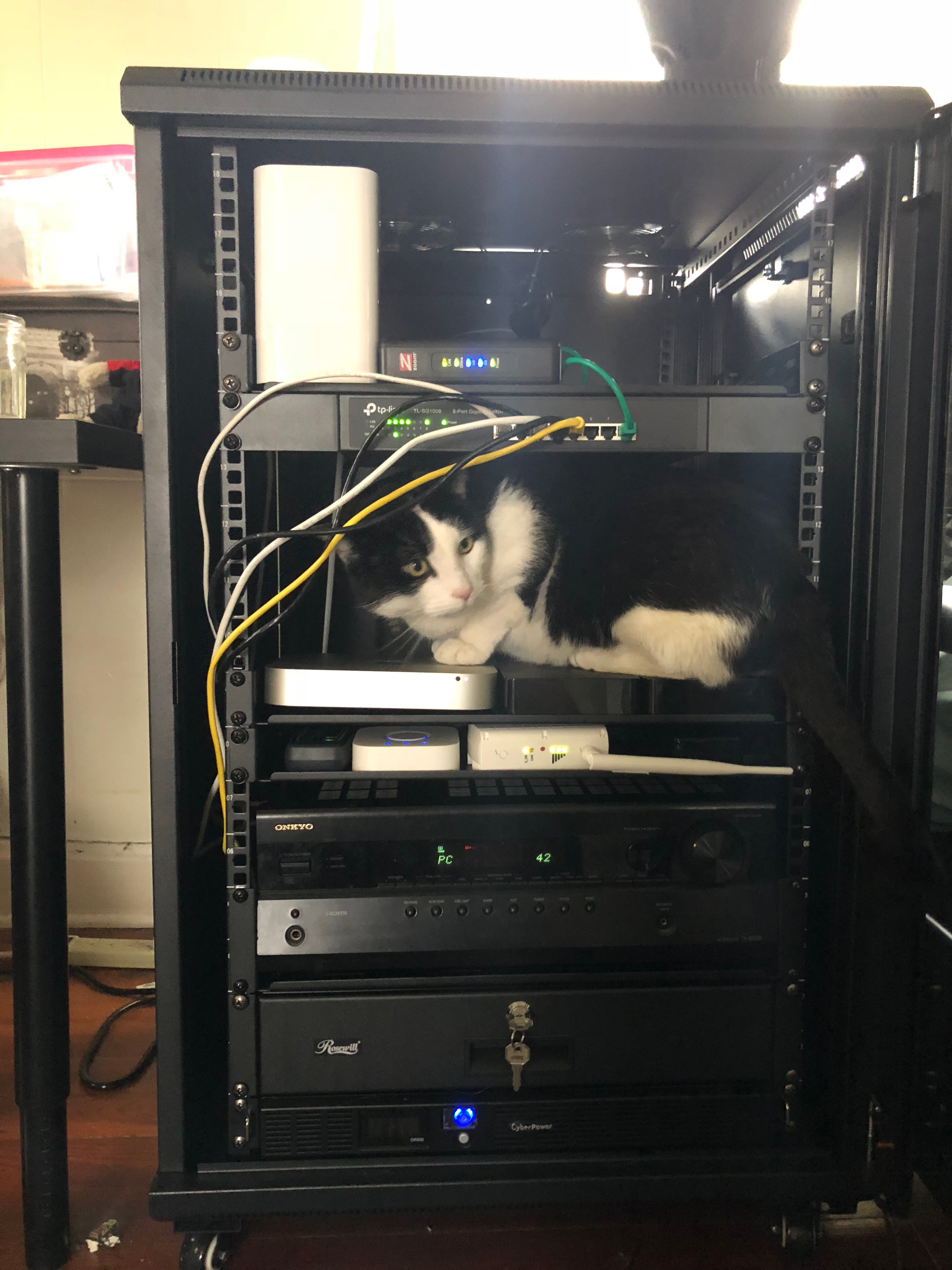 Finally rack-mounted my A/V and home automation devices. | Scrolller