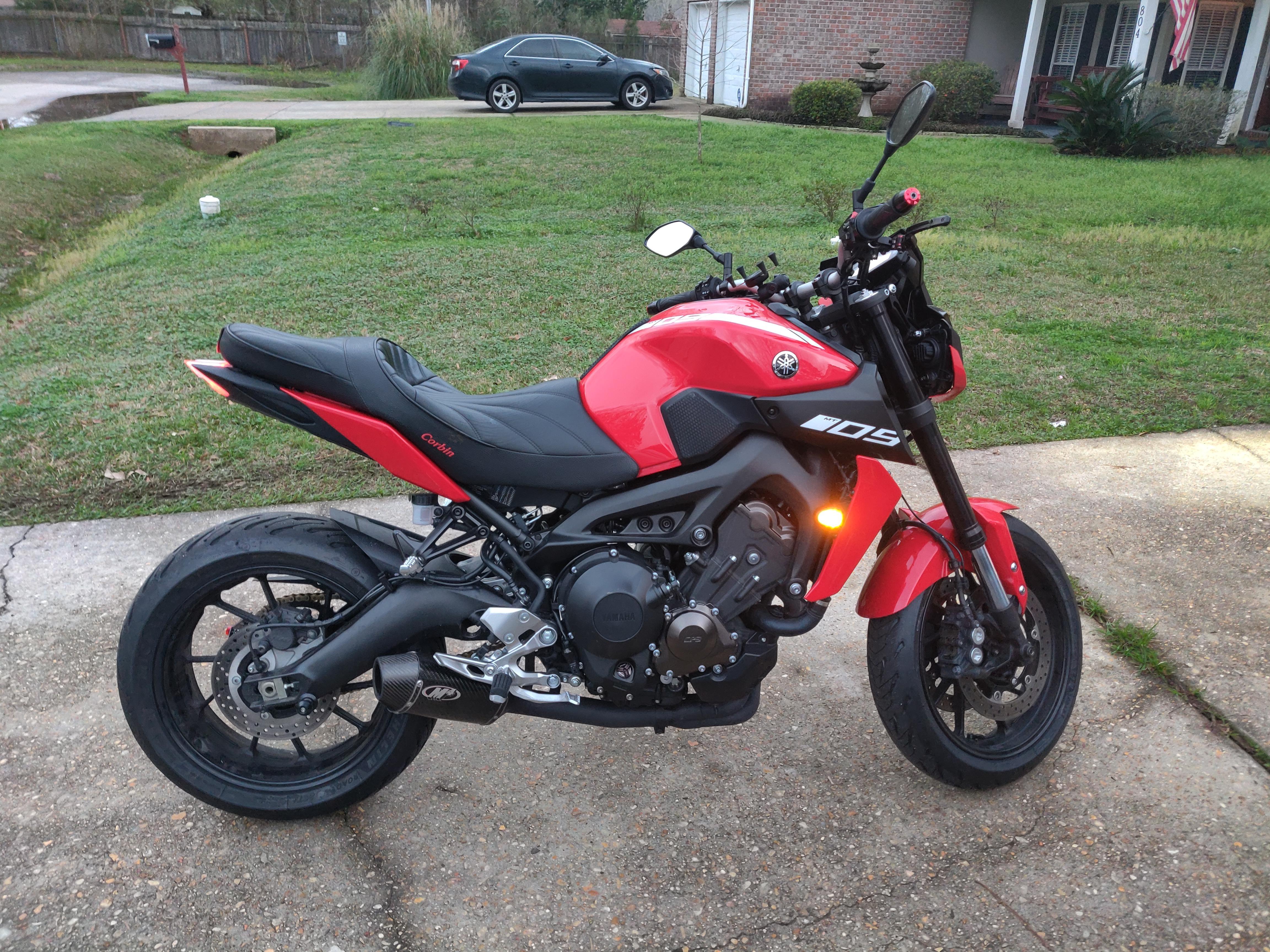 Finally showing off Toothless | Scrolller