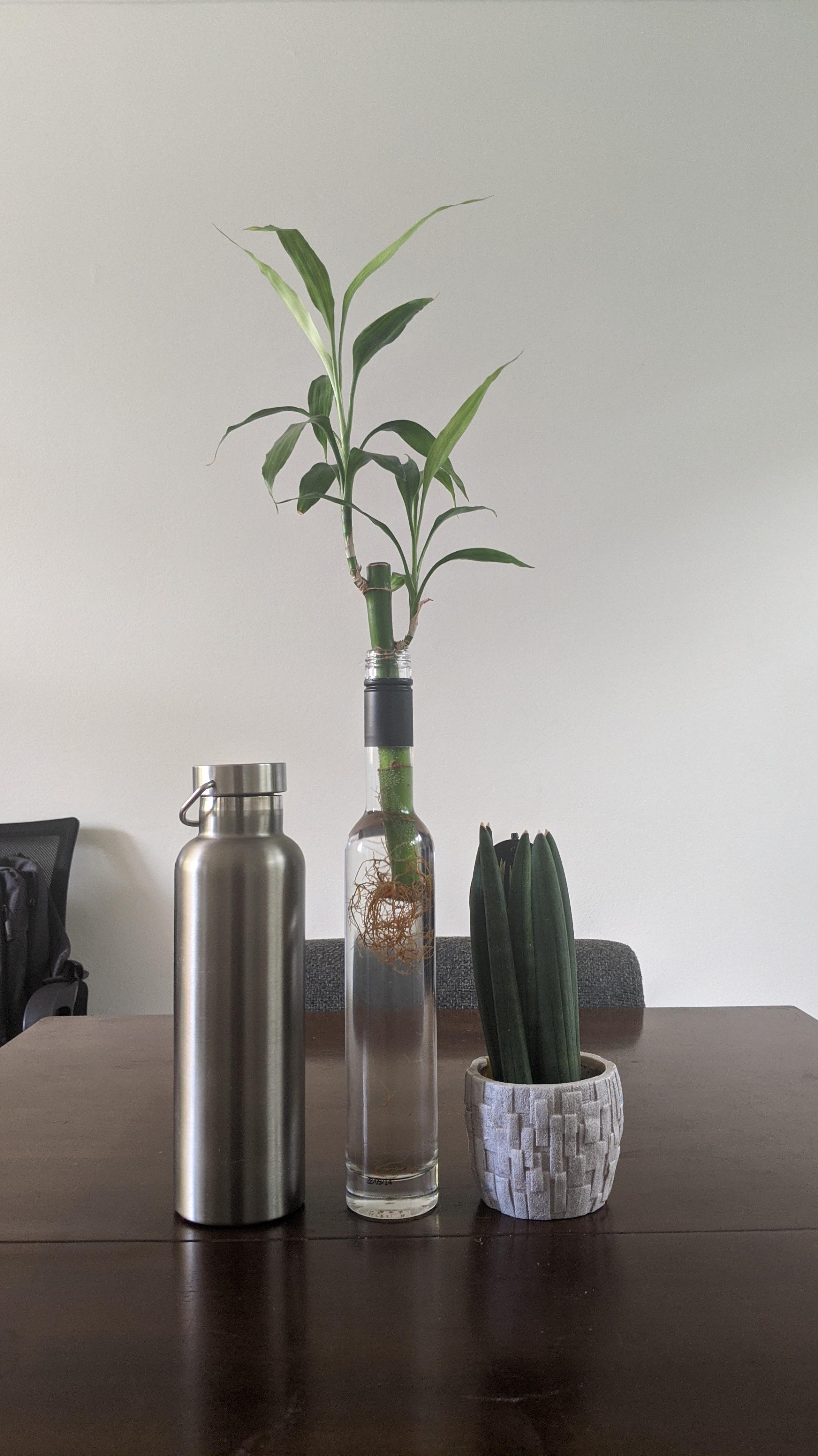 Finished a bottle of wine. Had to reuse the bottle. | Scrolller