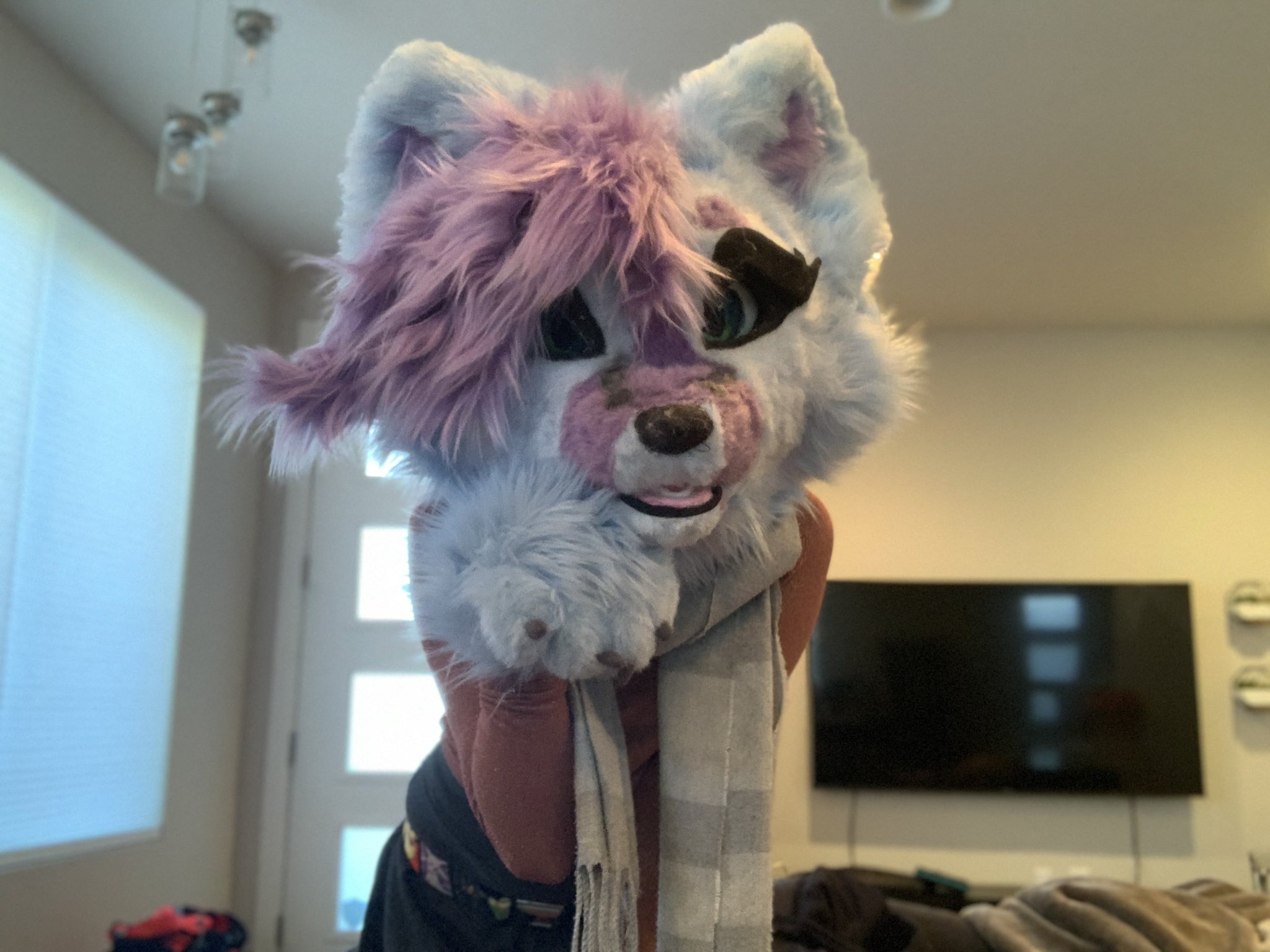 Finished my first Fursuit! Meet Wren! | Scrolller