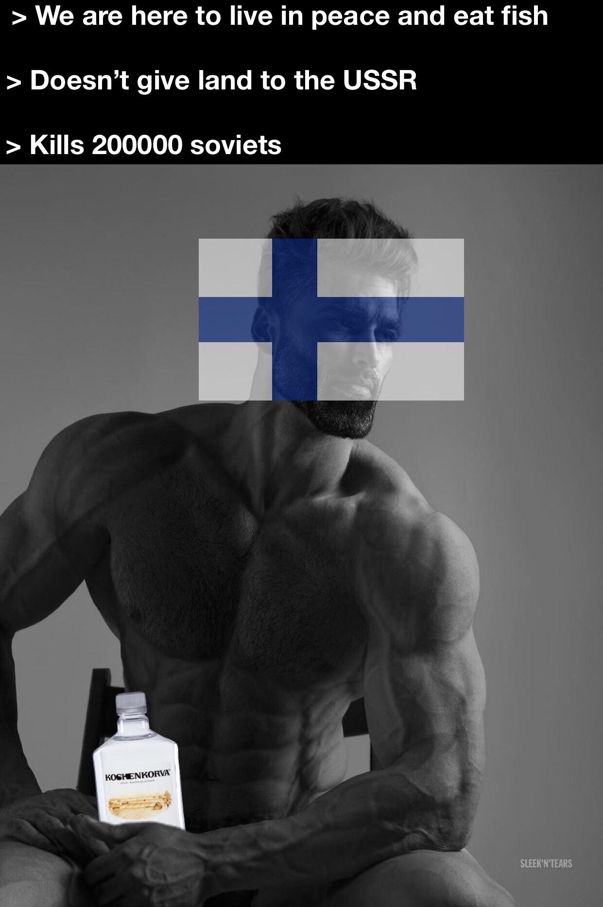 Finland is a based radical centrist. | Scrolller