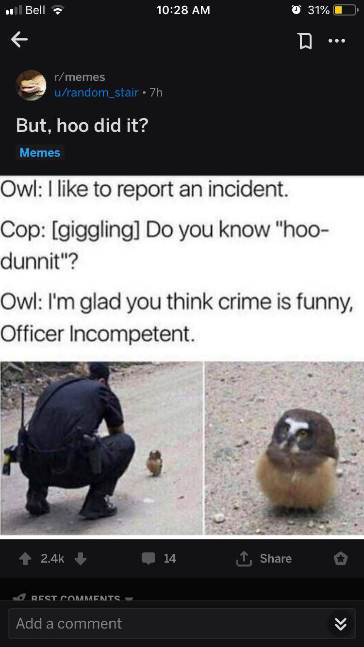 First arrest | Scrolller