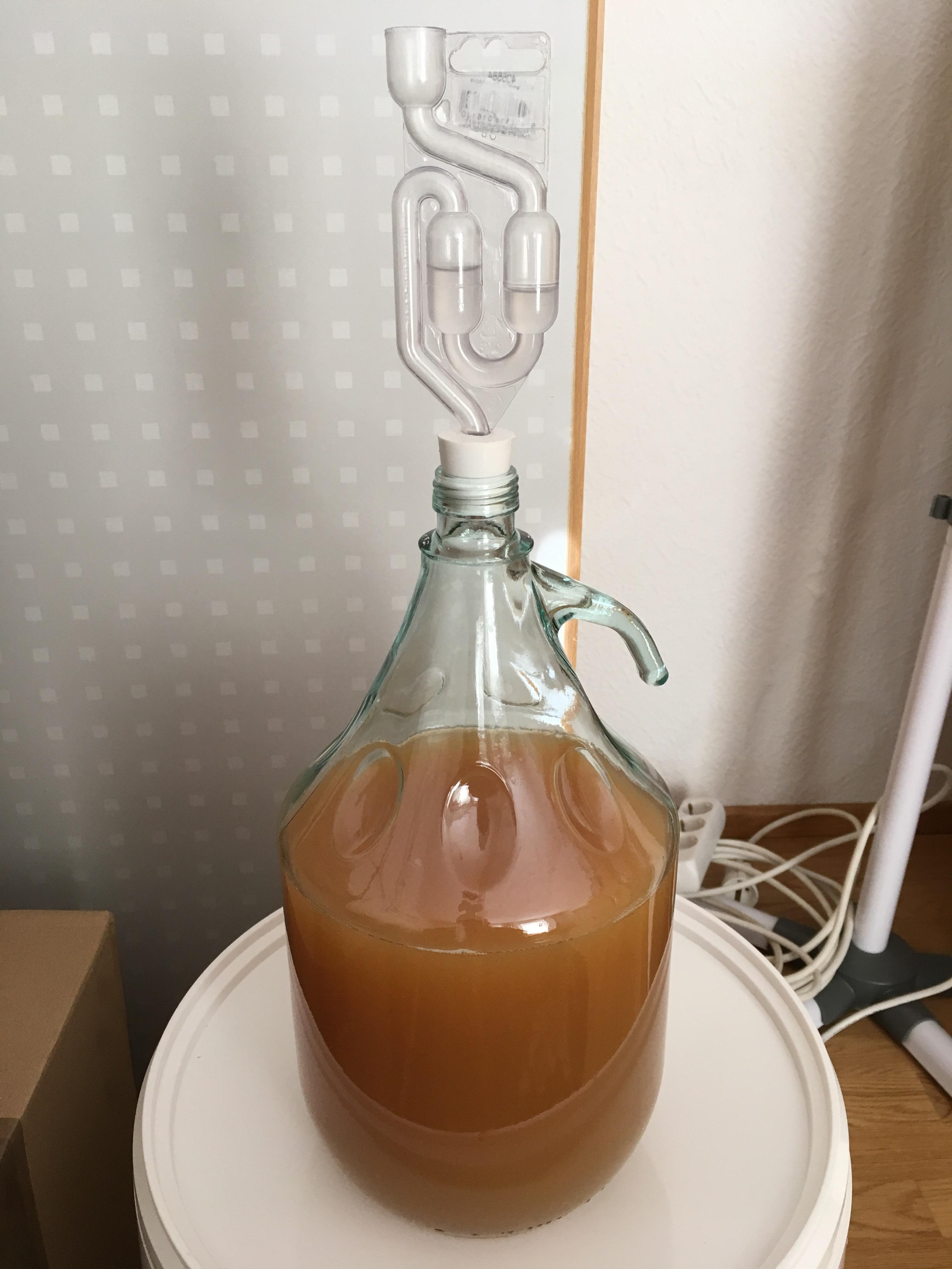 First batch ever. Let’s see what happens. | Scrolller