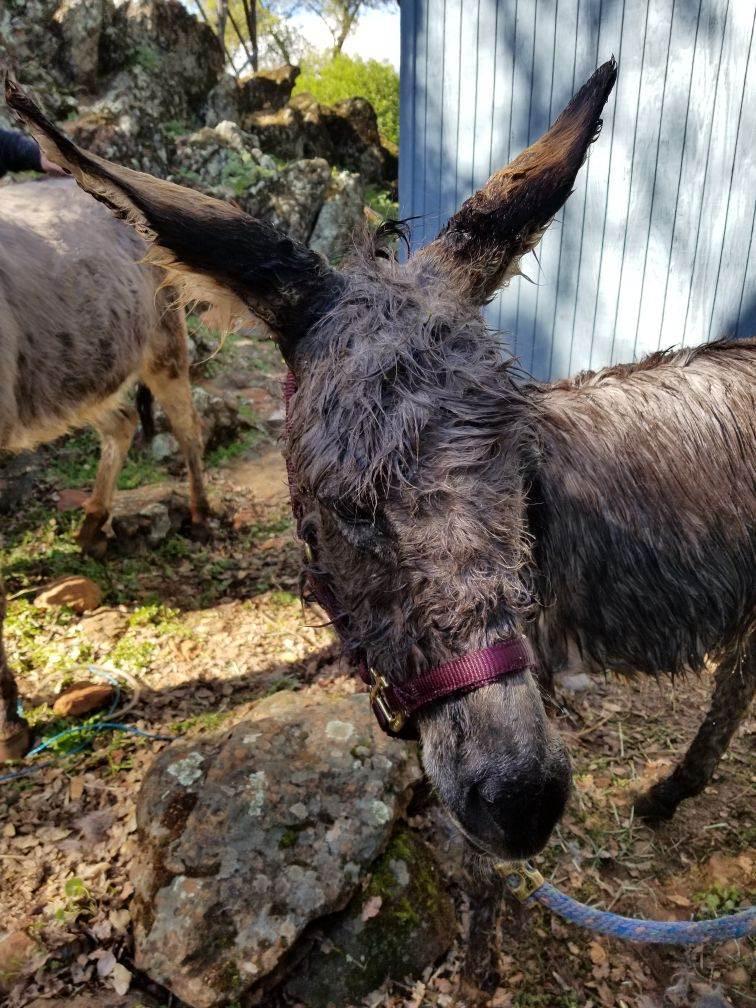 First bath | Scrolller