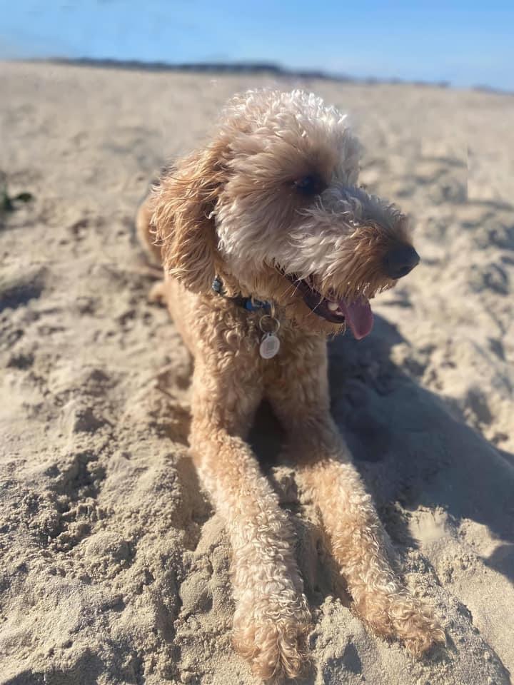 First beach trip! | Scrolller