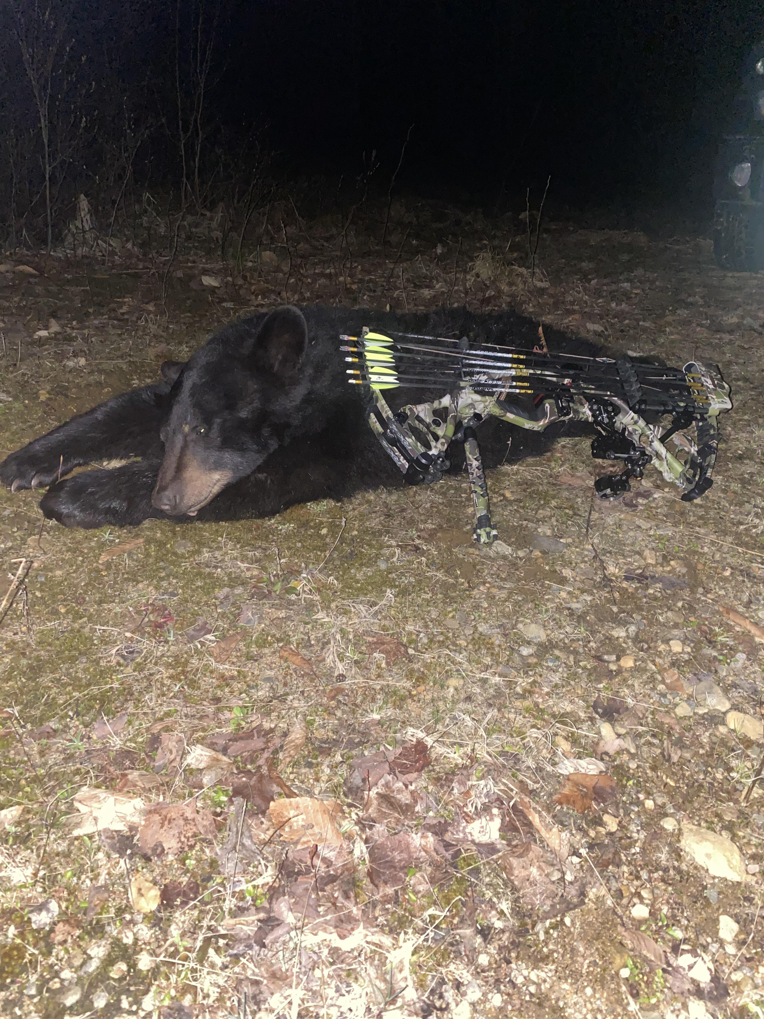 First bow hunt. Second bear hunt. | Scrolller
