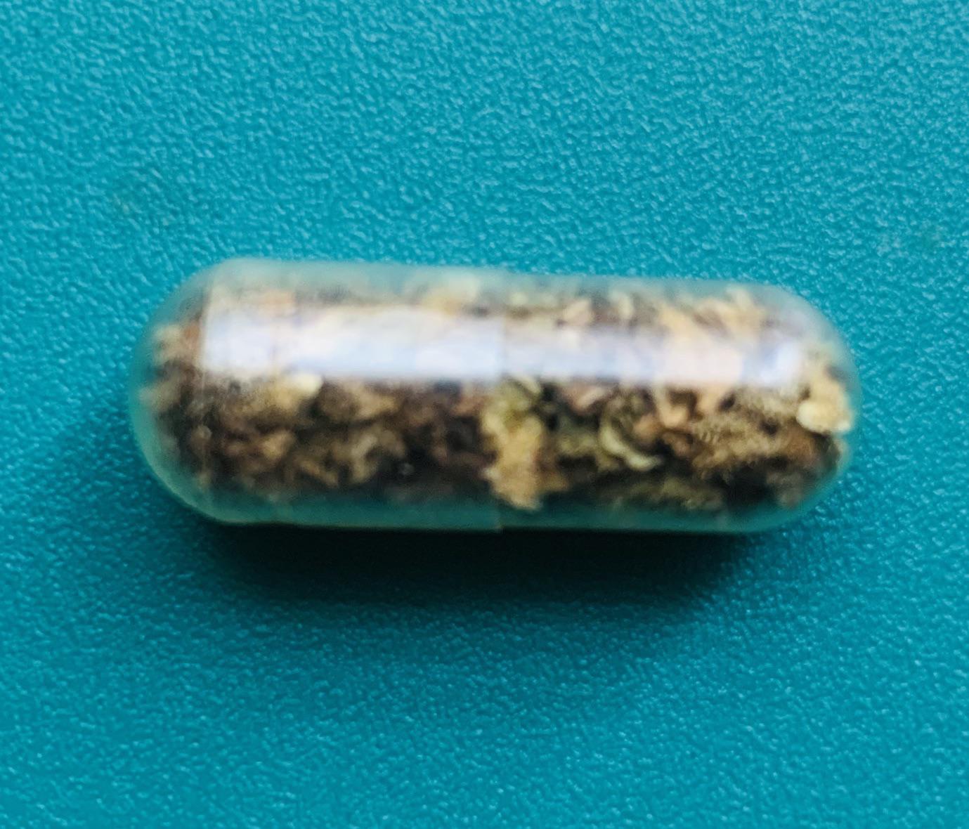 First capsule, first microdose | Scrolller