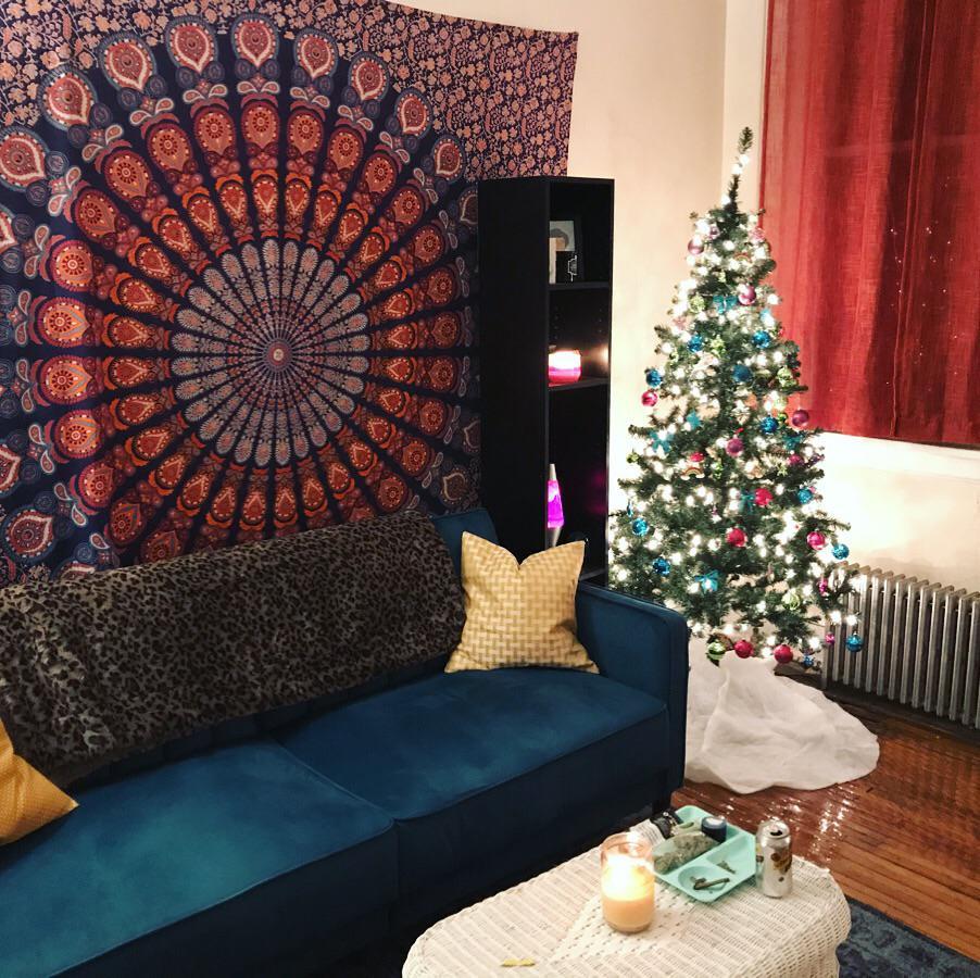 First Christmas in my first solo apartment | Scrolller
