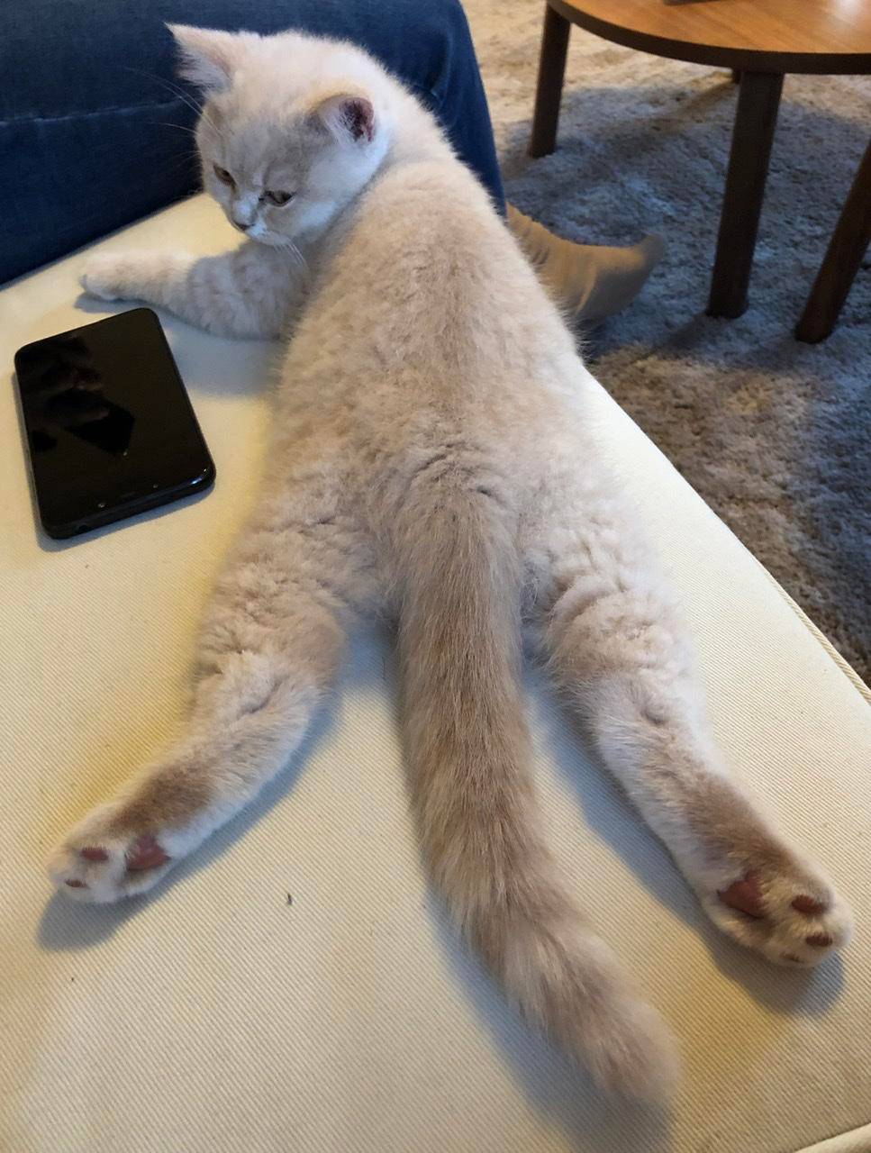 First day at home! | Scrolller