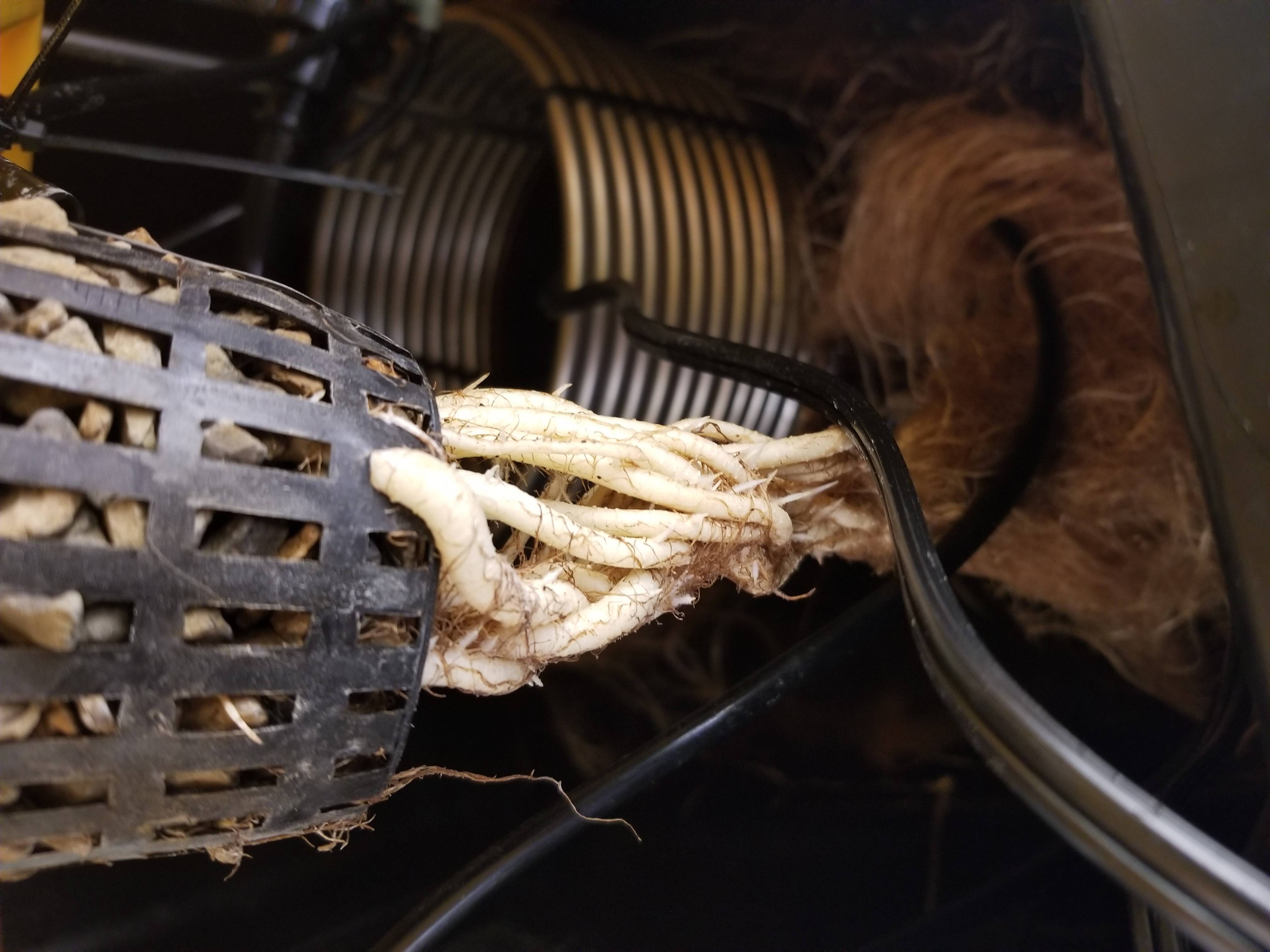 First DWC are these good? | Scrolller