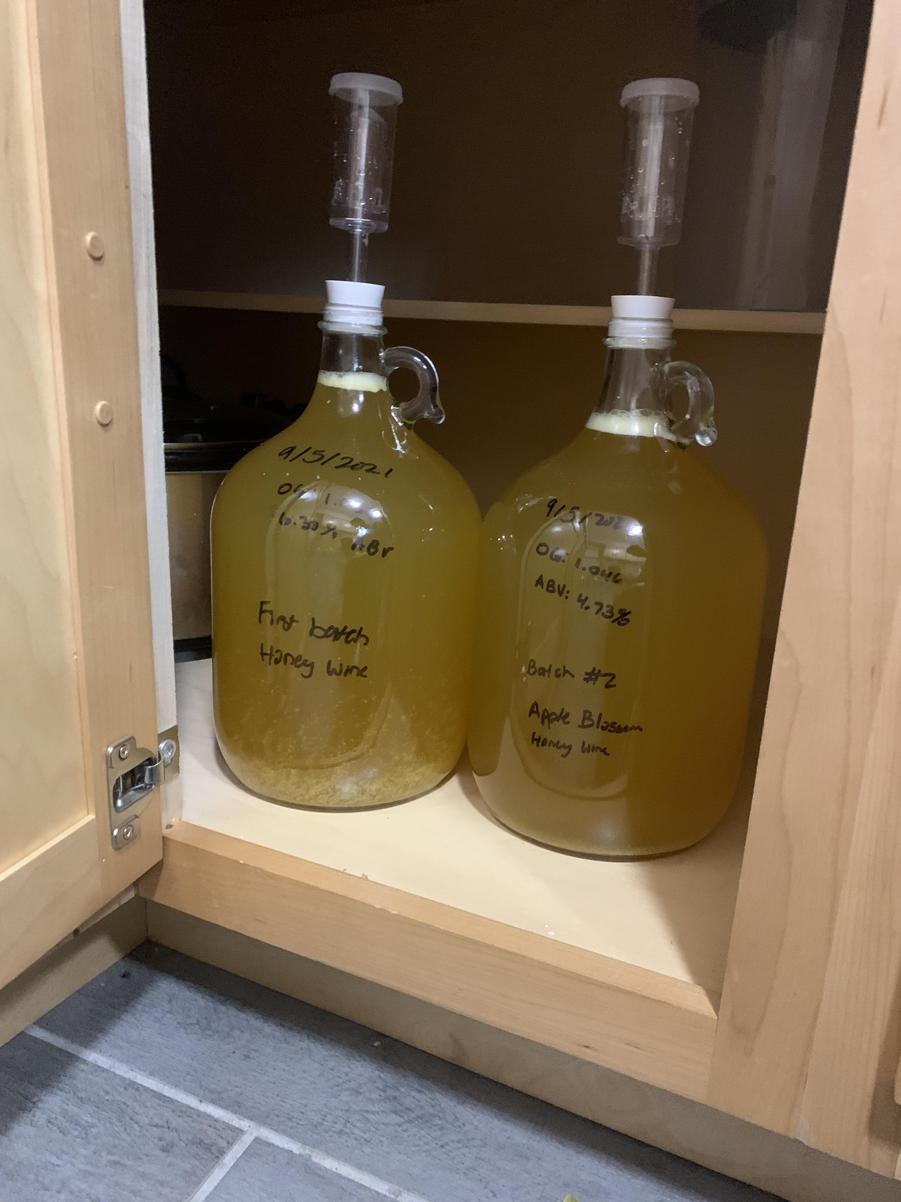 First ever batch! Been lurking on this sub for a while, finally decided to make my own | Scrolller