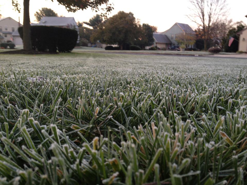 First frost of the year. | Scrolller