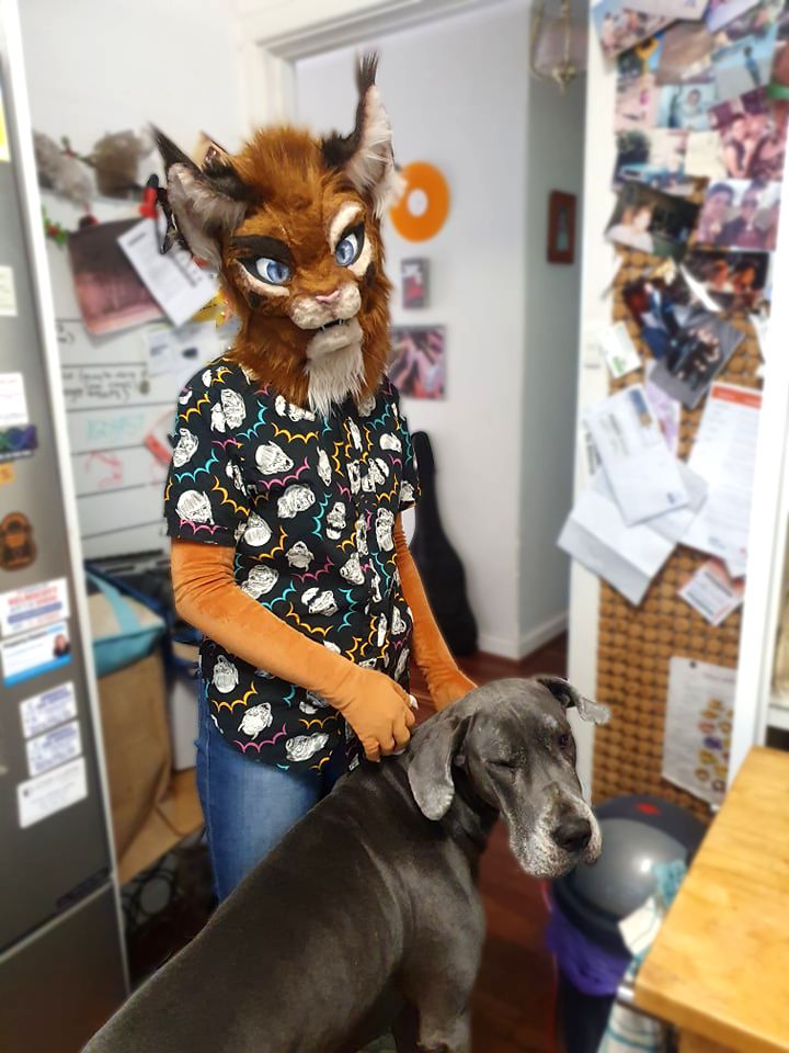 First Fursuit Friday in my new suit! Featuring my dog | Scrolller