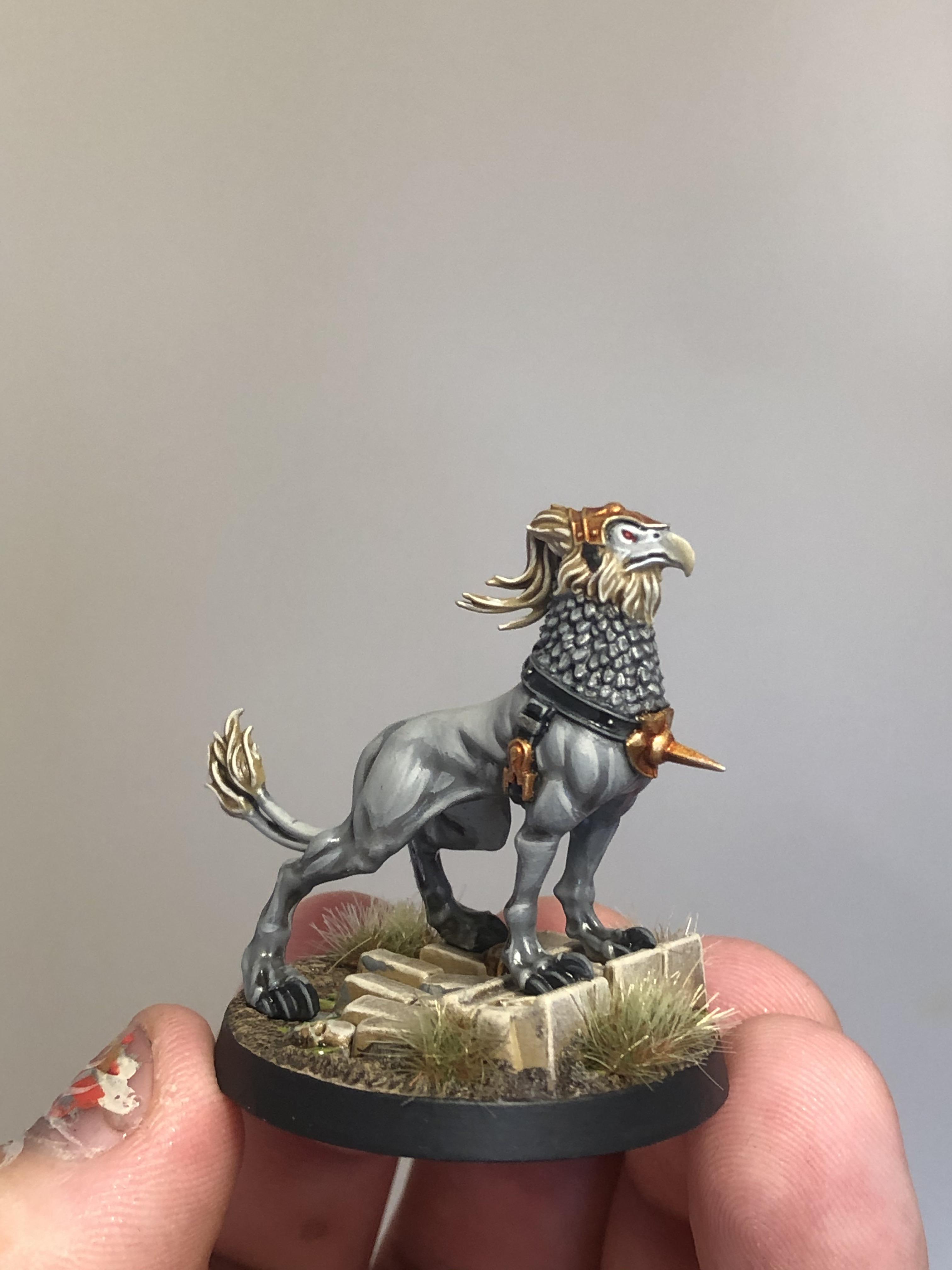 First gryph hound done ☑️ | Scrolller