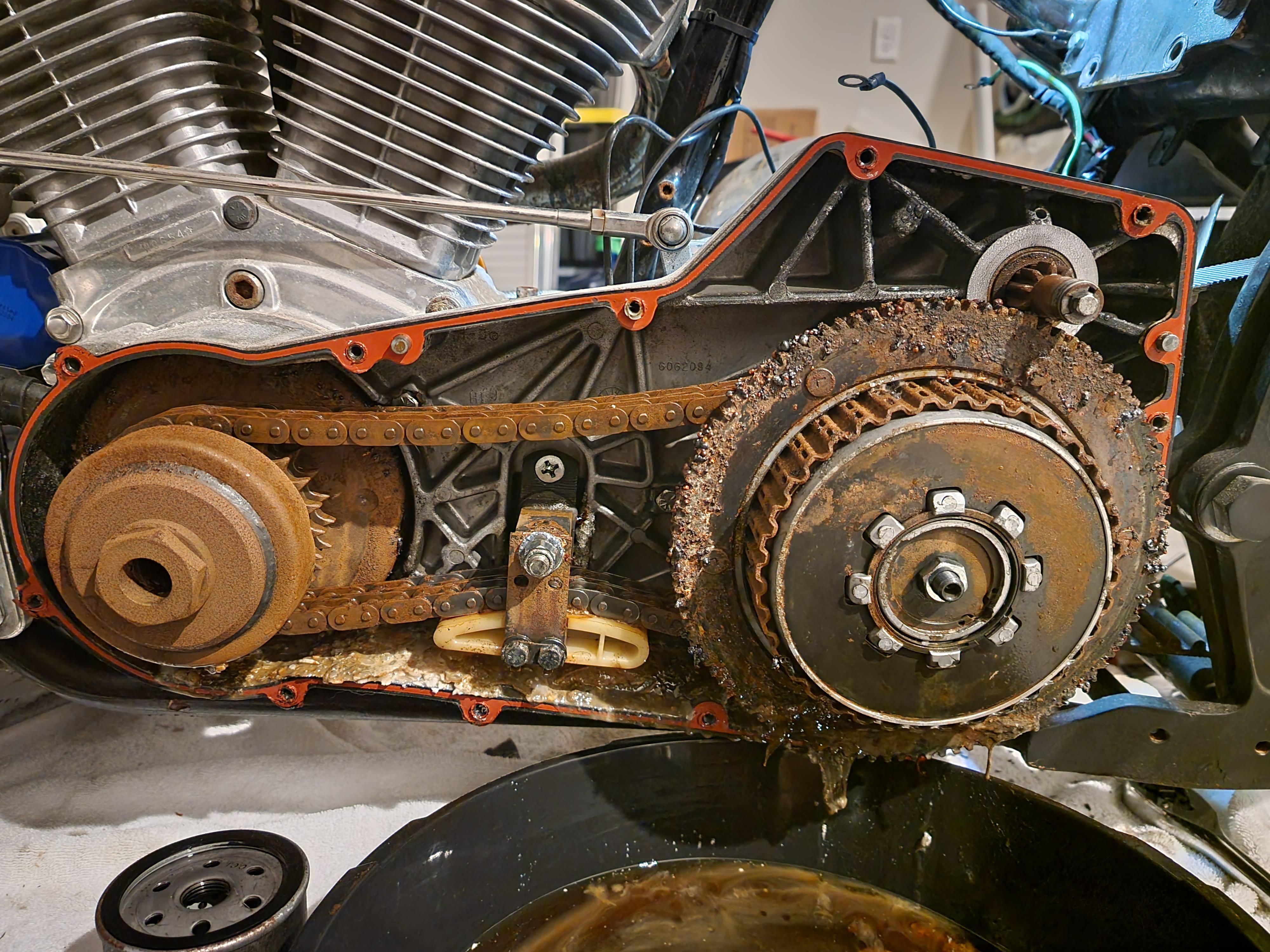 First Harley!!! | Scrolller