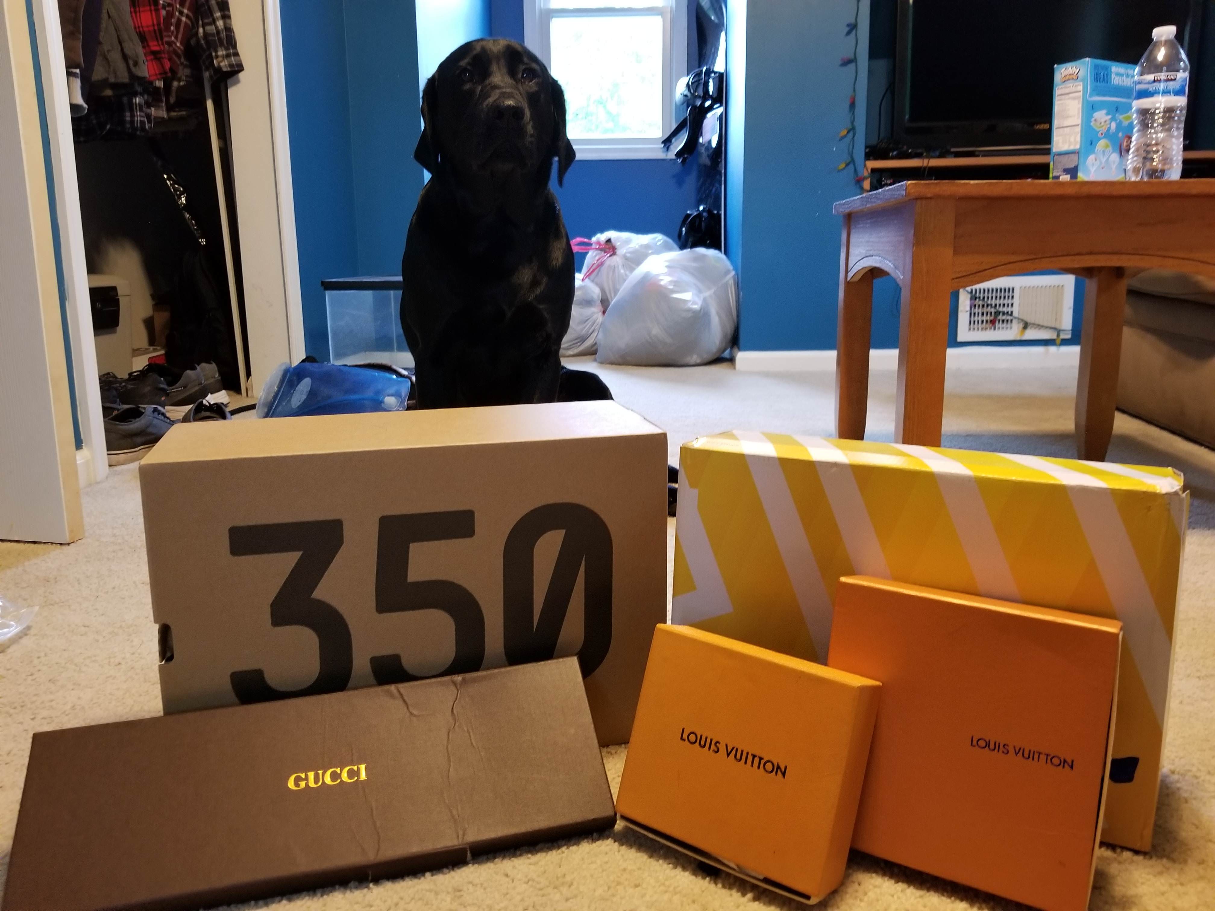 First haul came in | Scrolller