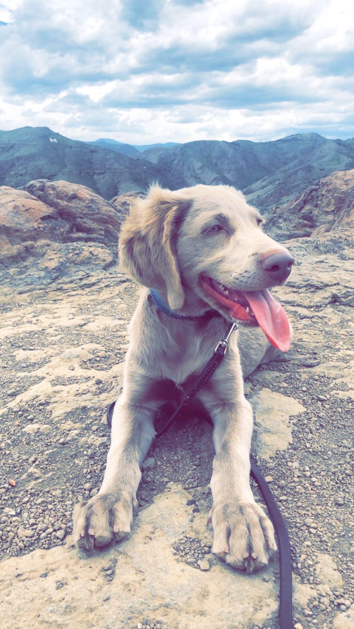 First Hike | Scrolller