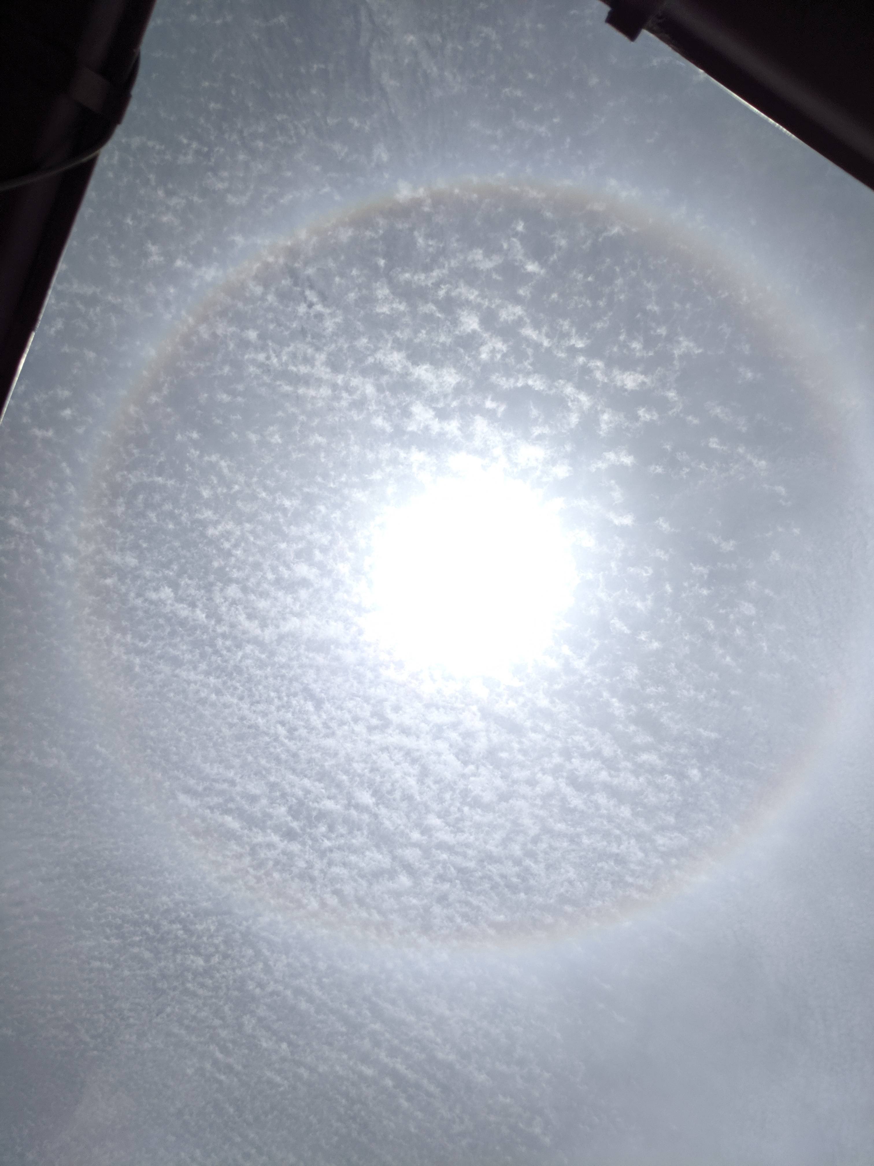 First sighting! Whoa! | Scrolller