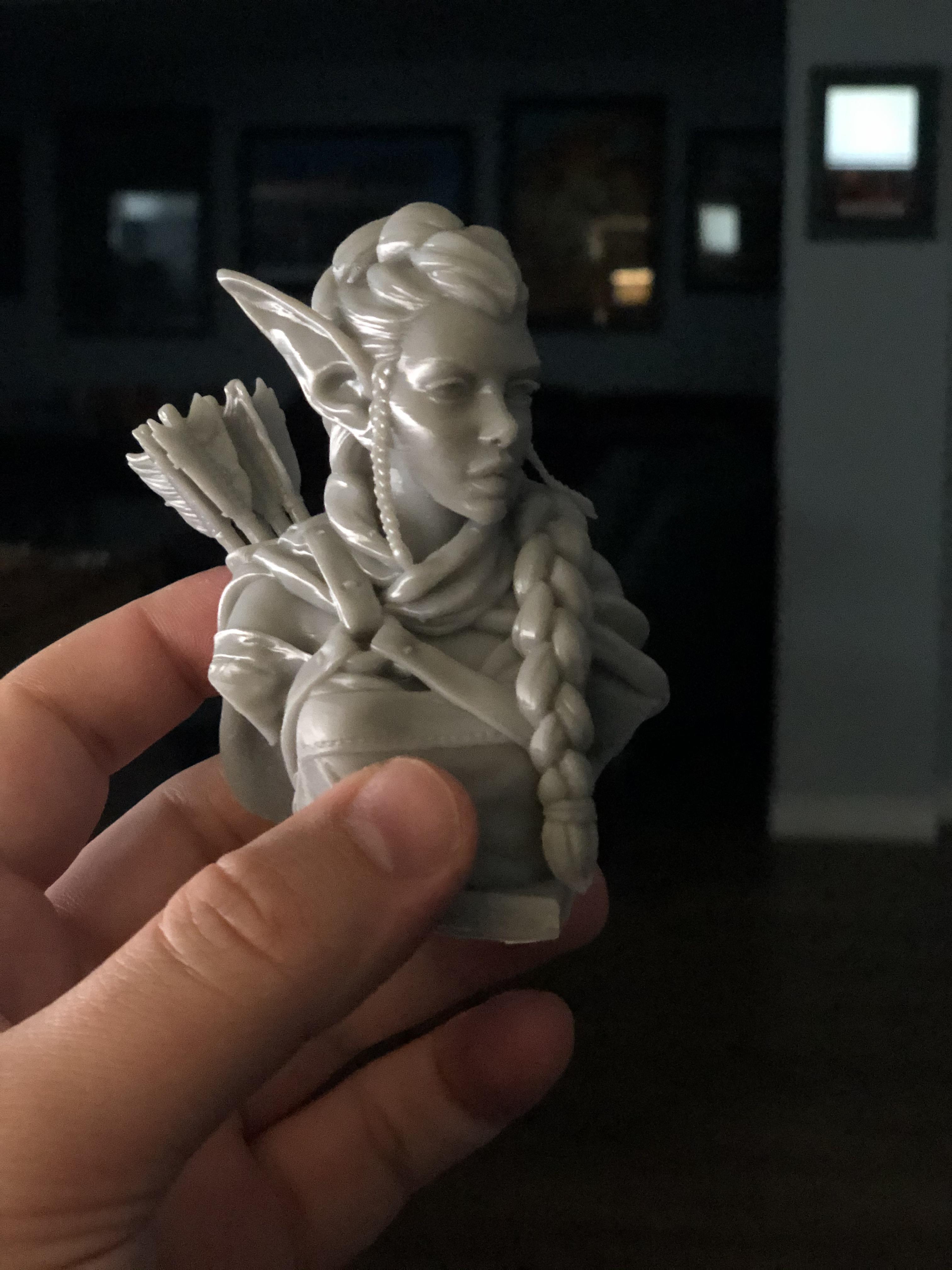 First successful resin print. Model by Margaret Dost (phrozen sonic mini) | Scrolller