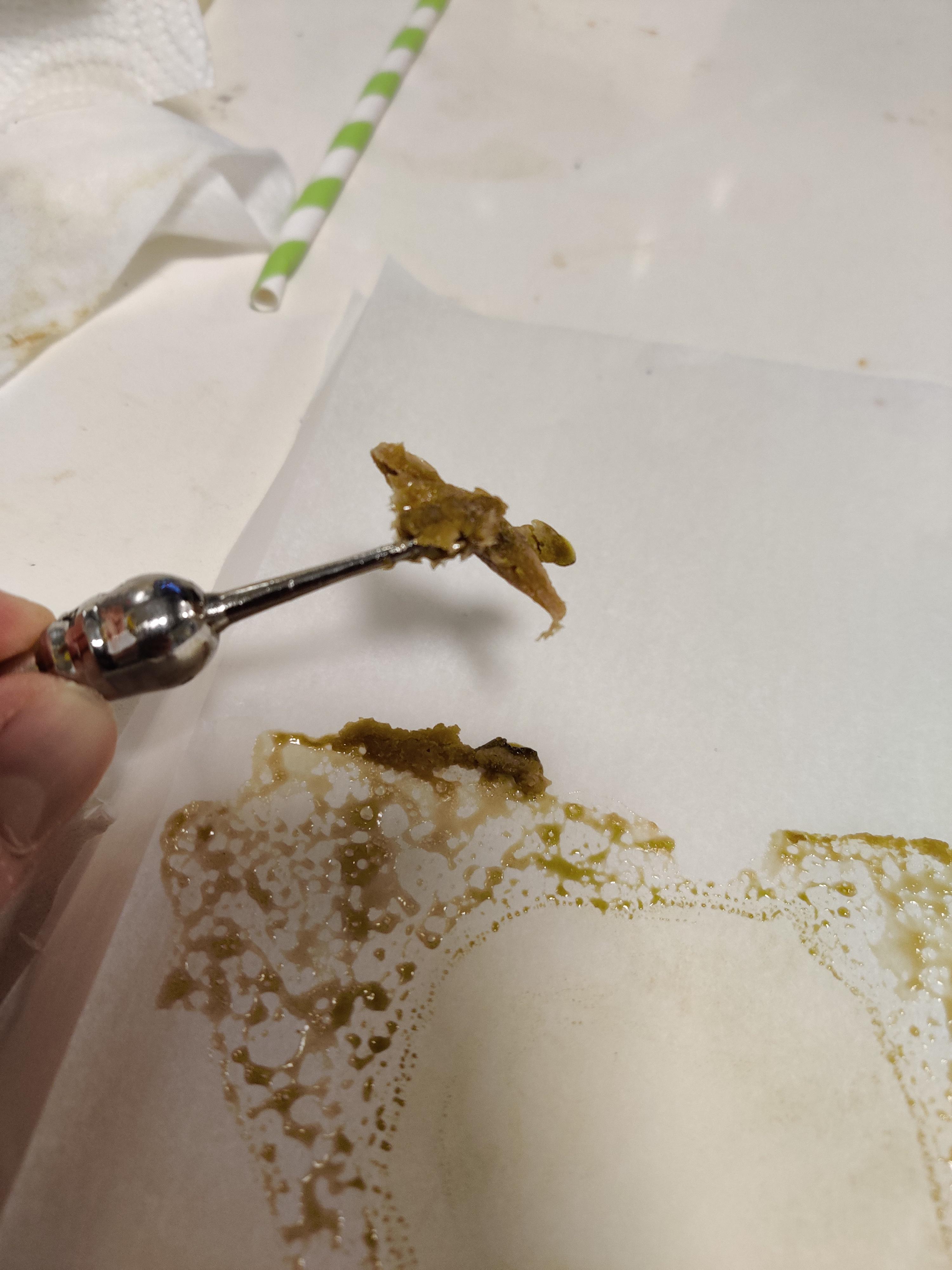 First time getting sugar consistency rosin | Scrolller