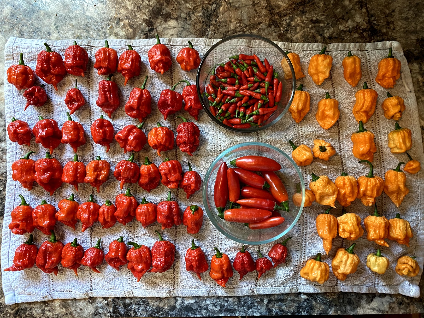 First time growing. Grew From Seeds. First Harvest! | Scrolller