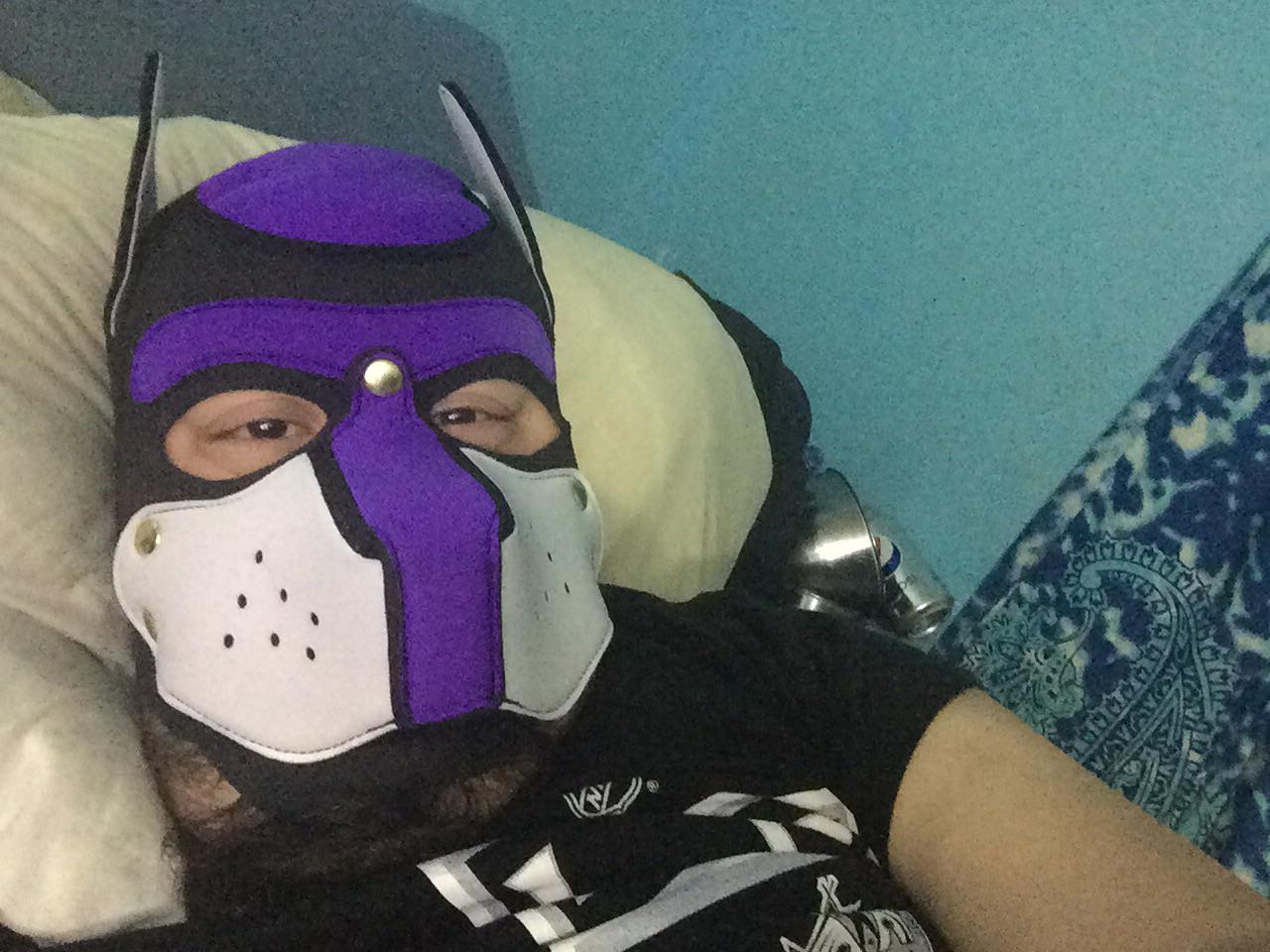 First time posting pics! Pup Trance here! | Scrolller