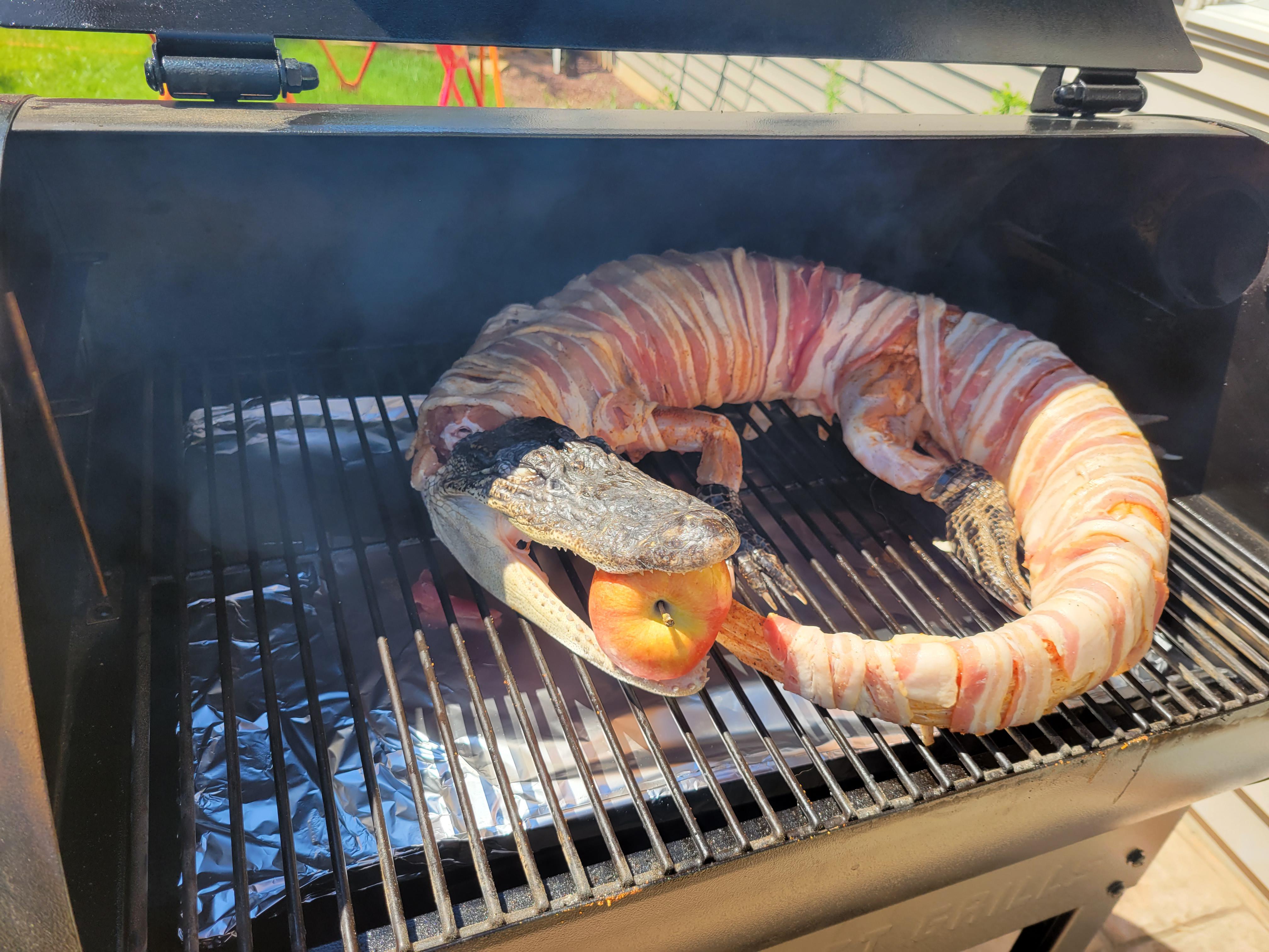 First time rocking a gator!! | Scrolller