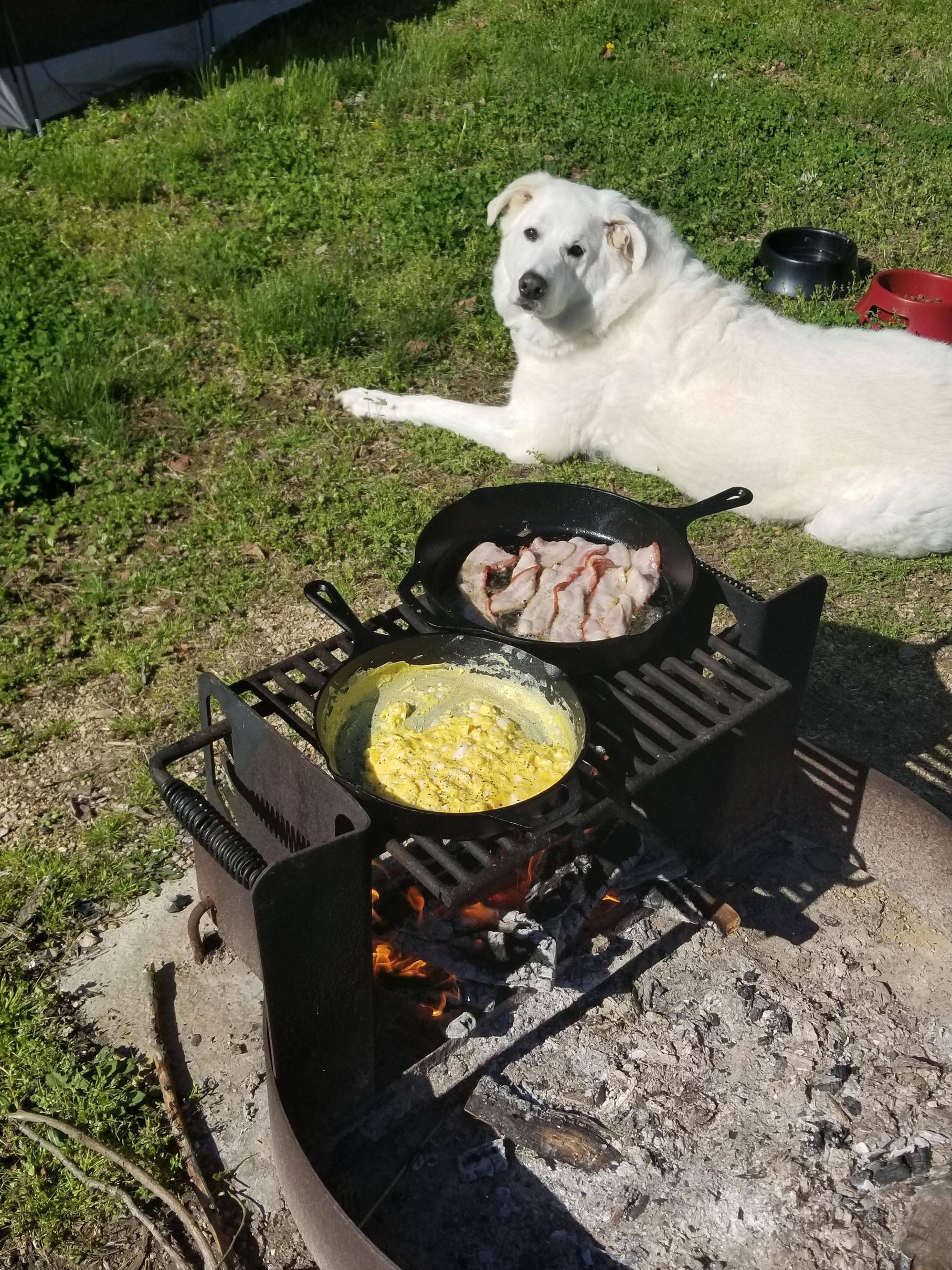First time using cast iron! Alot to learn. | Scrolller