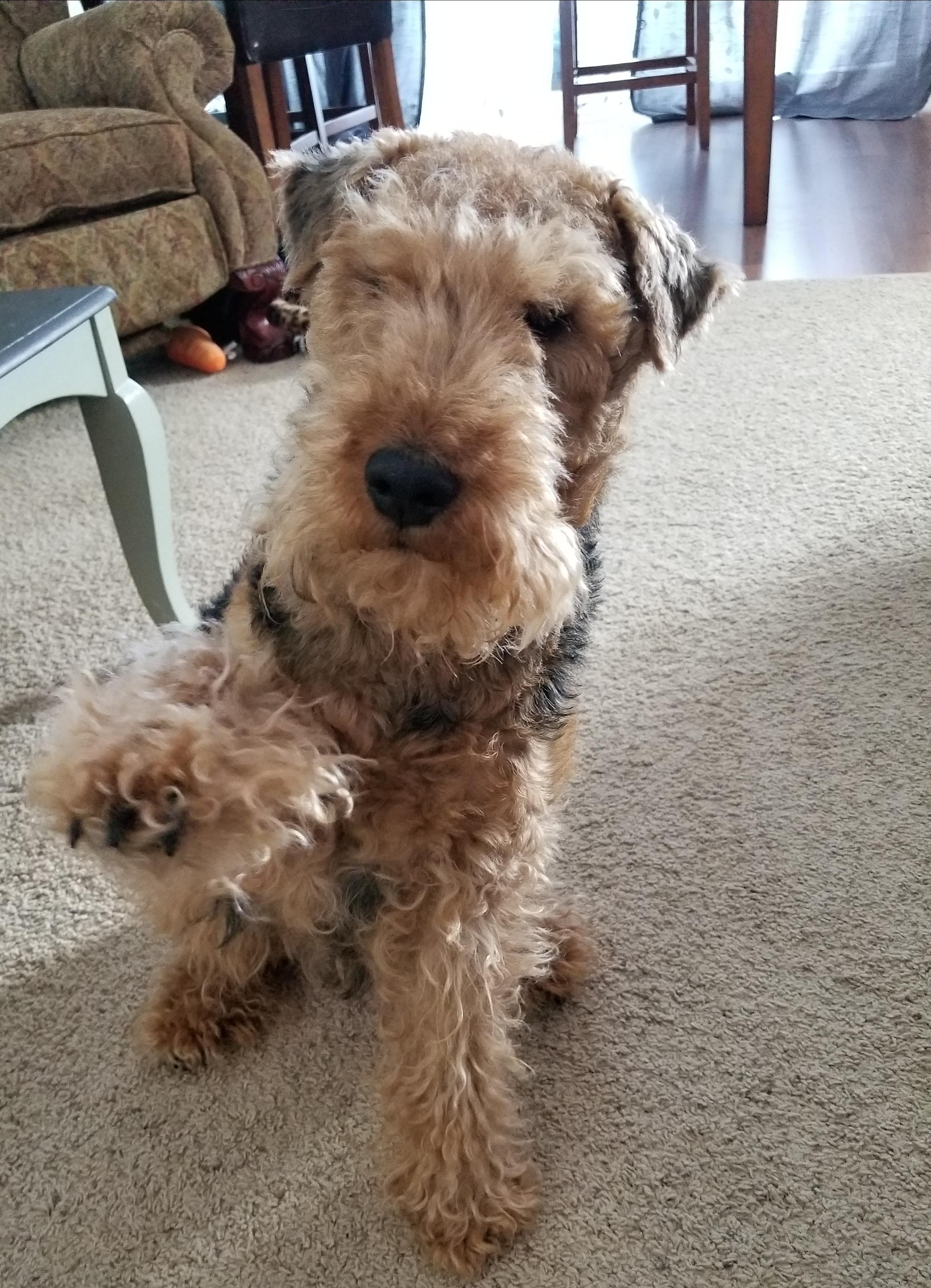 fist pump | Scrolller