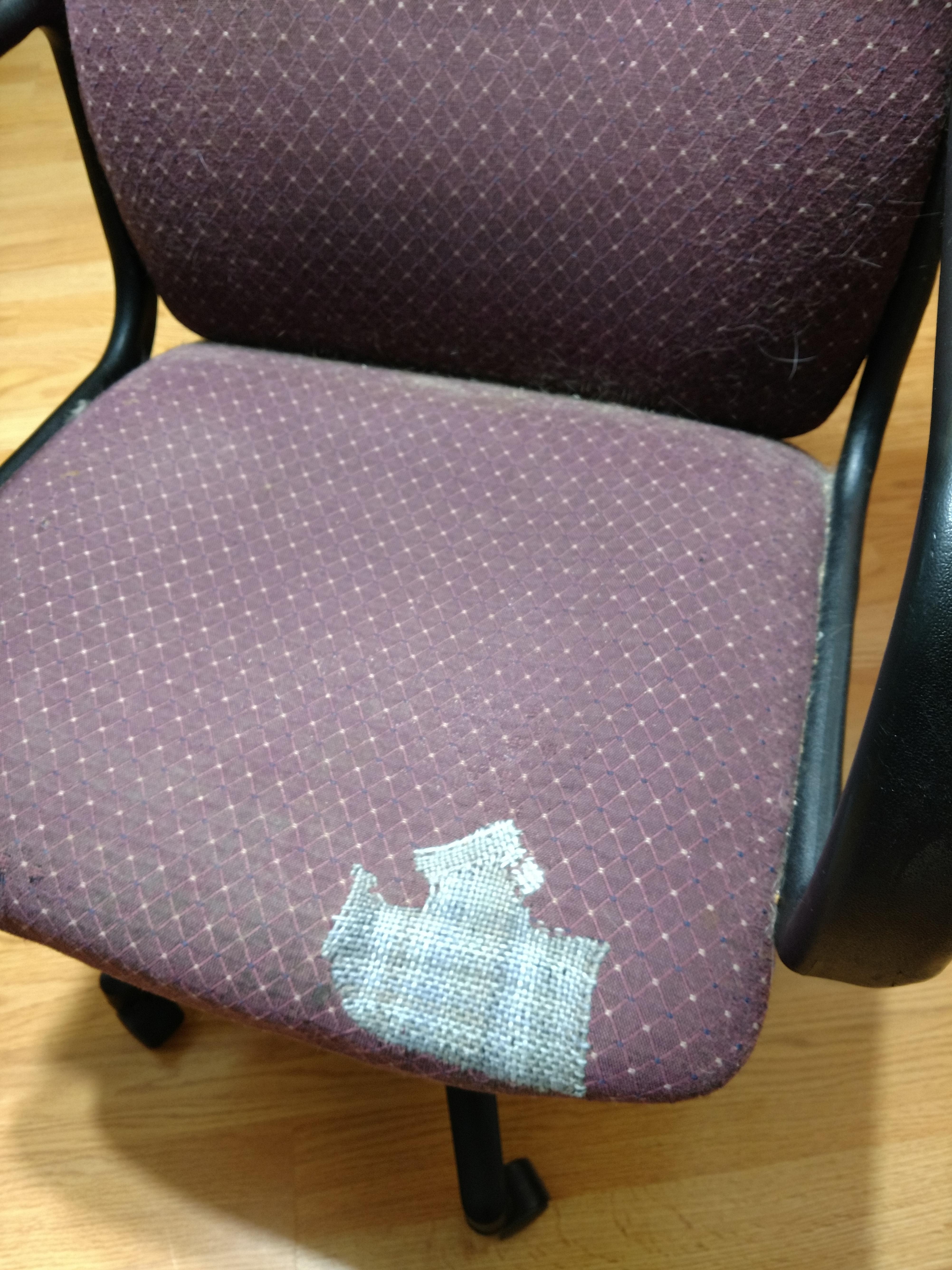 Fixed up the hole in my wife's computer chair | Scrolller