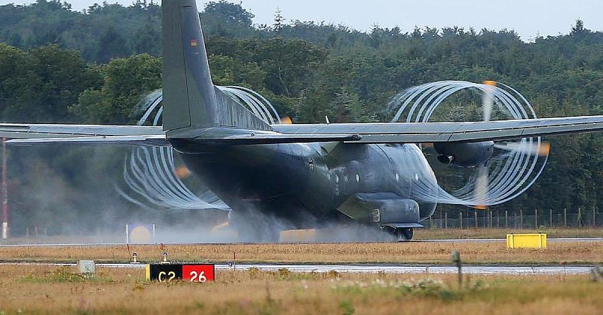 Flap-flap-flap | Scrolller