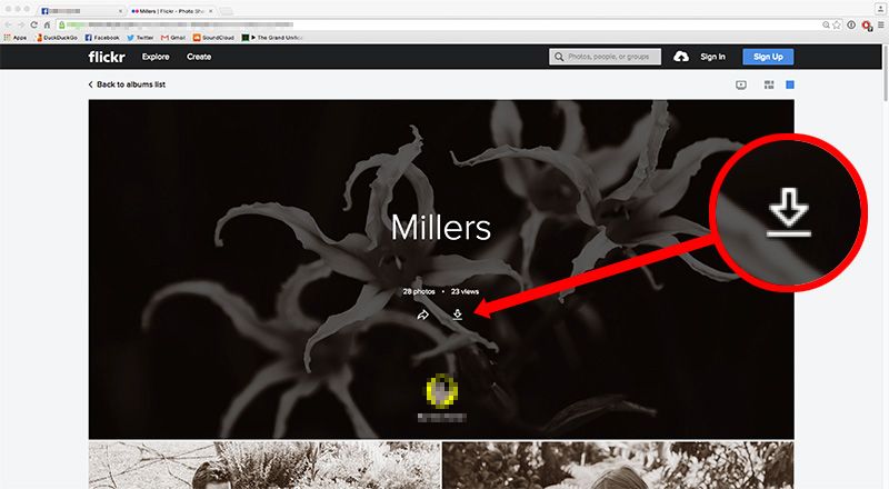 Flickr UX is too complicated (for recipients) | Scrolller