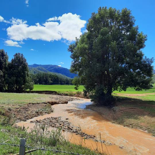 Flooded creek after heavy rain. | Scrolller