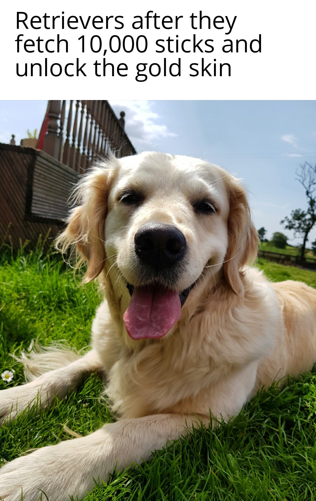 Floof Scrolller
