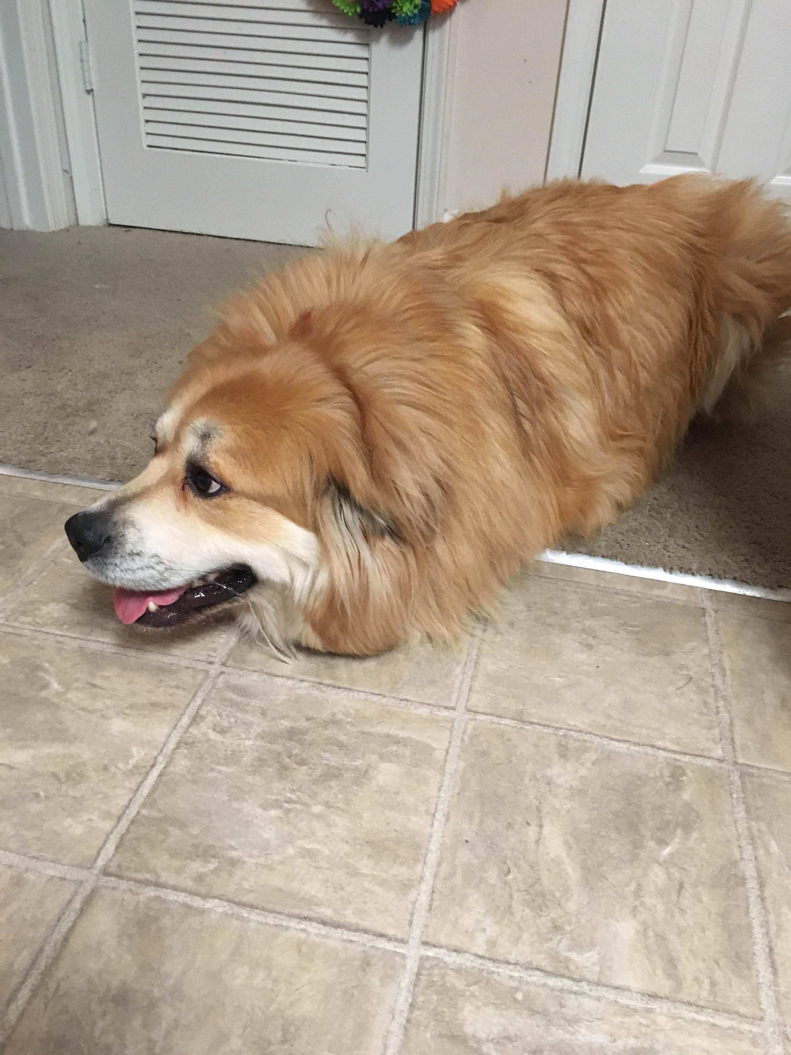 Floof Loaf | Scrolller