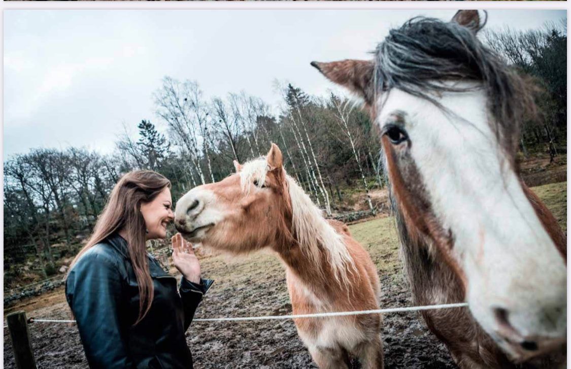 Floor just released! | Scrolller