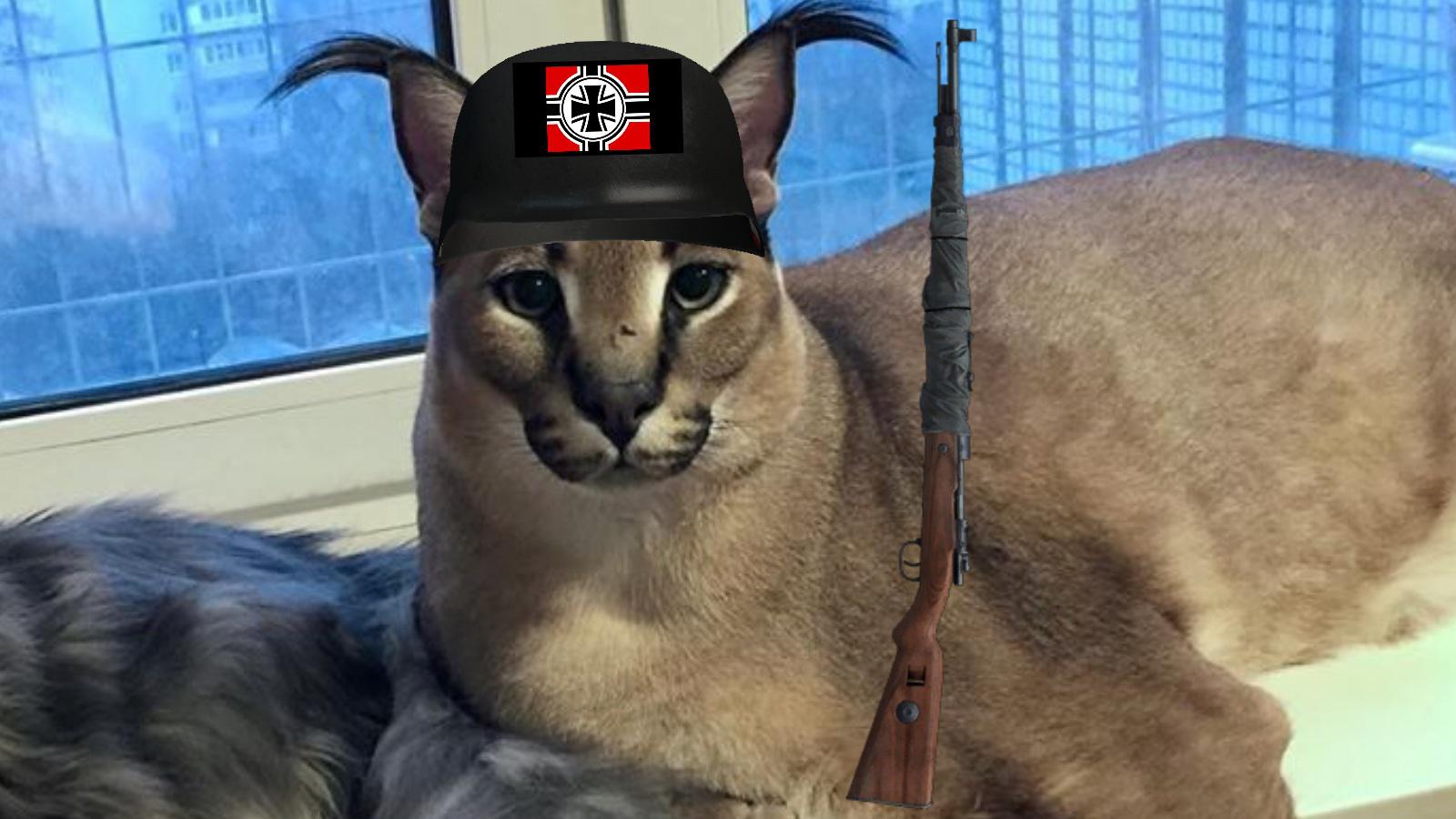 Floppa bout to invade Poland | Scrolller