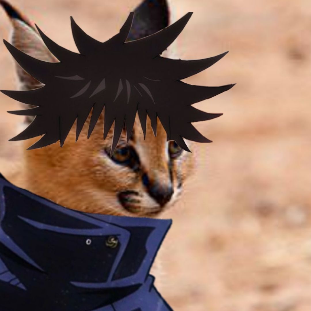 Floppa Fushiguro | Scrolller