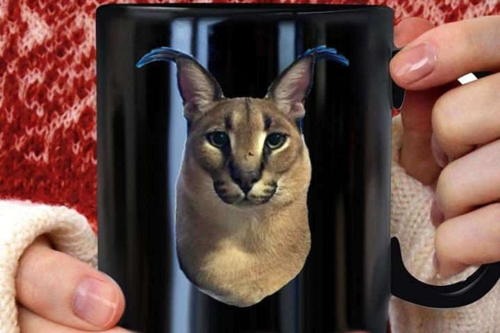 floppa mug | Scrolller