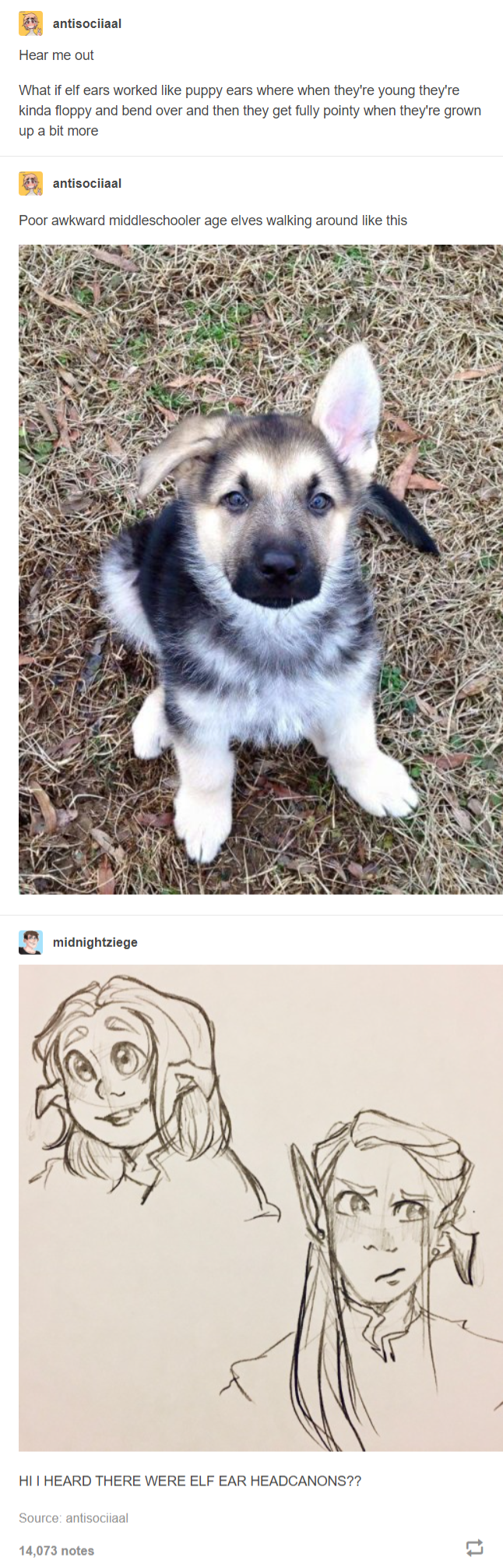 FLOPPY ELF EARS | Scrolller