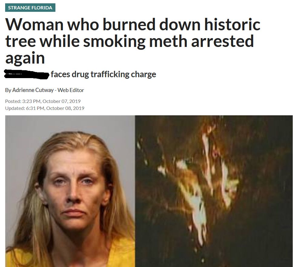 Florida Woman Who Burned Down A 3 500 Year Old Cypress Tree In Big Tree