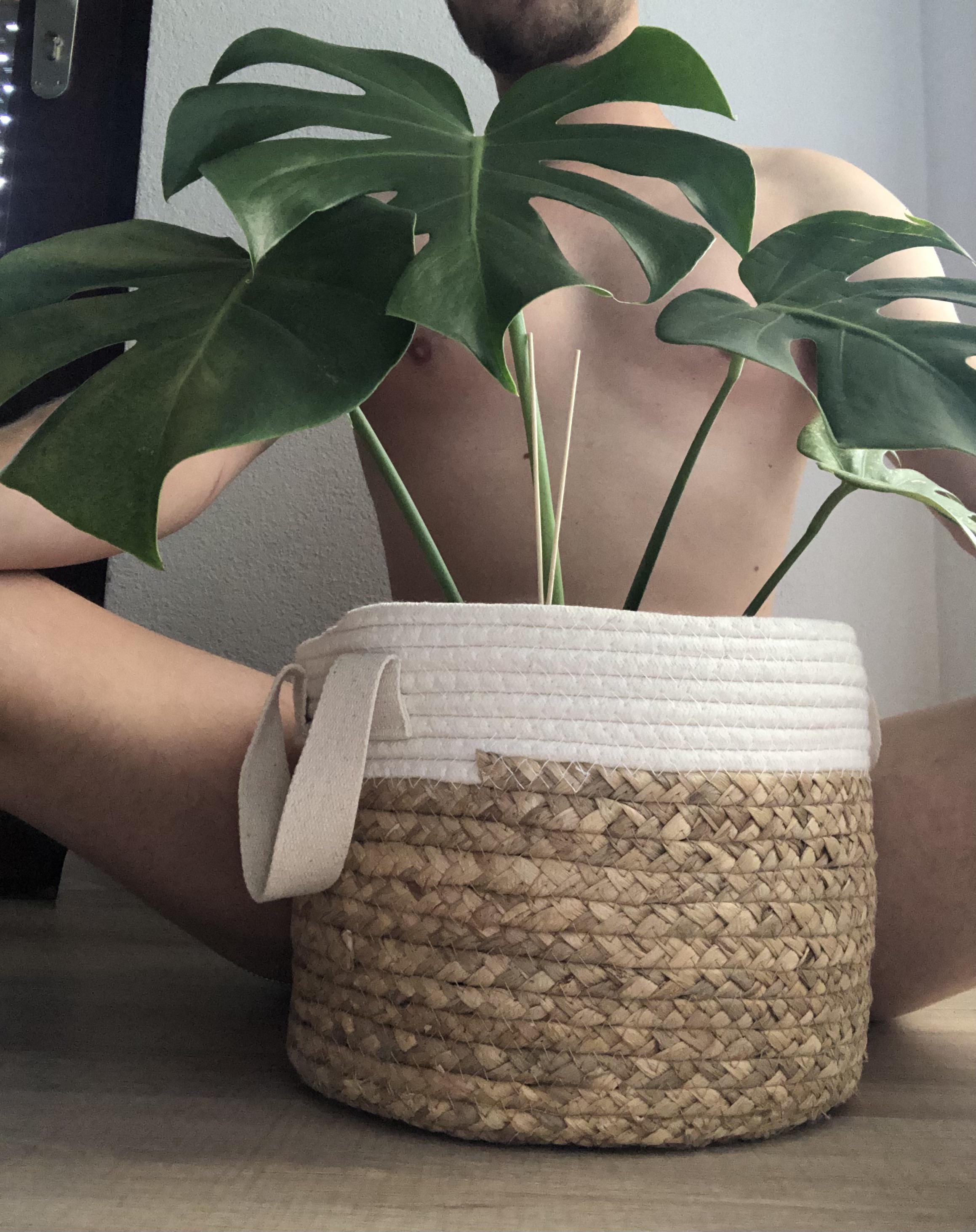 Flower Power (M24) | Scrolller