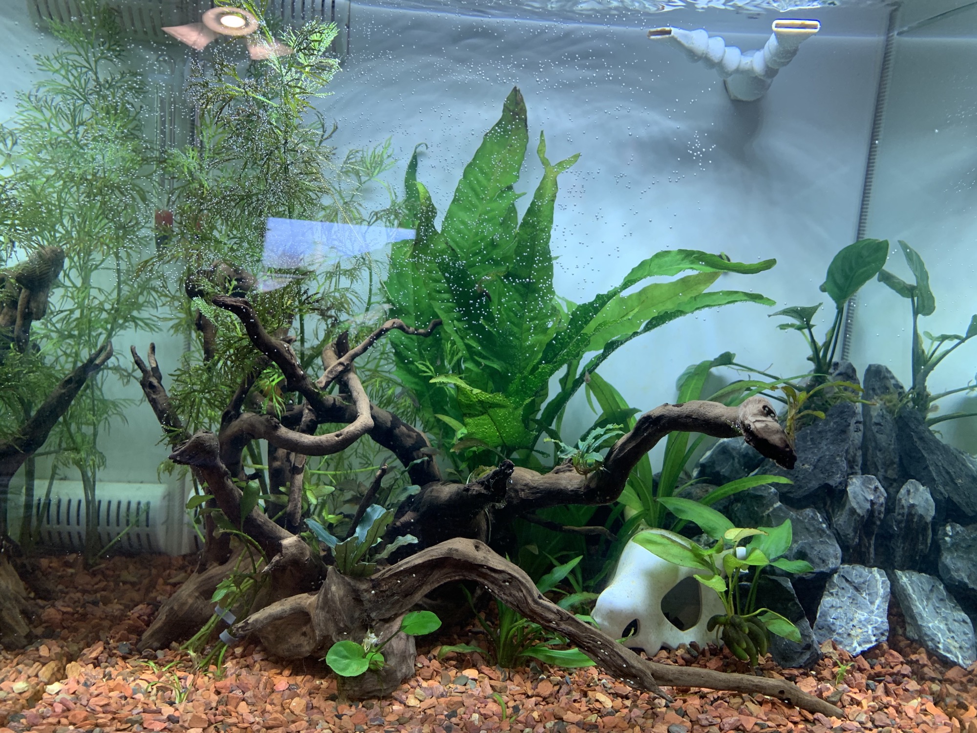 Fluval Flex light mods? | Scrolller