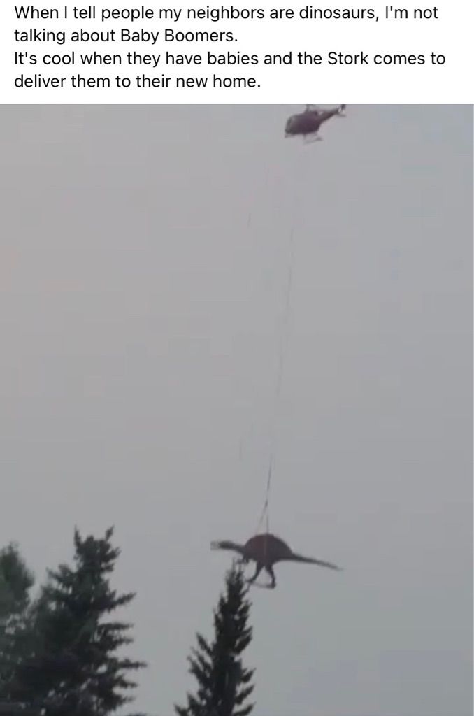 Flying in dinosaurs | Scrolller