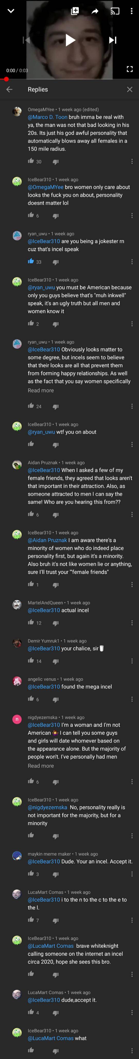 focus on the icebear | Scrolller