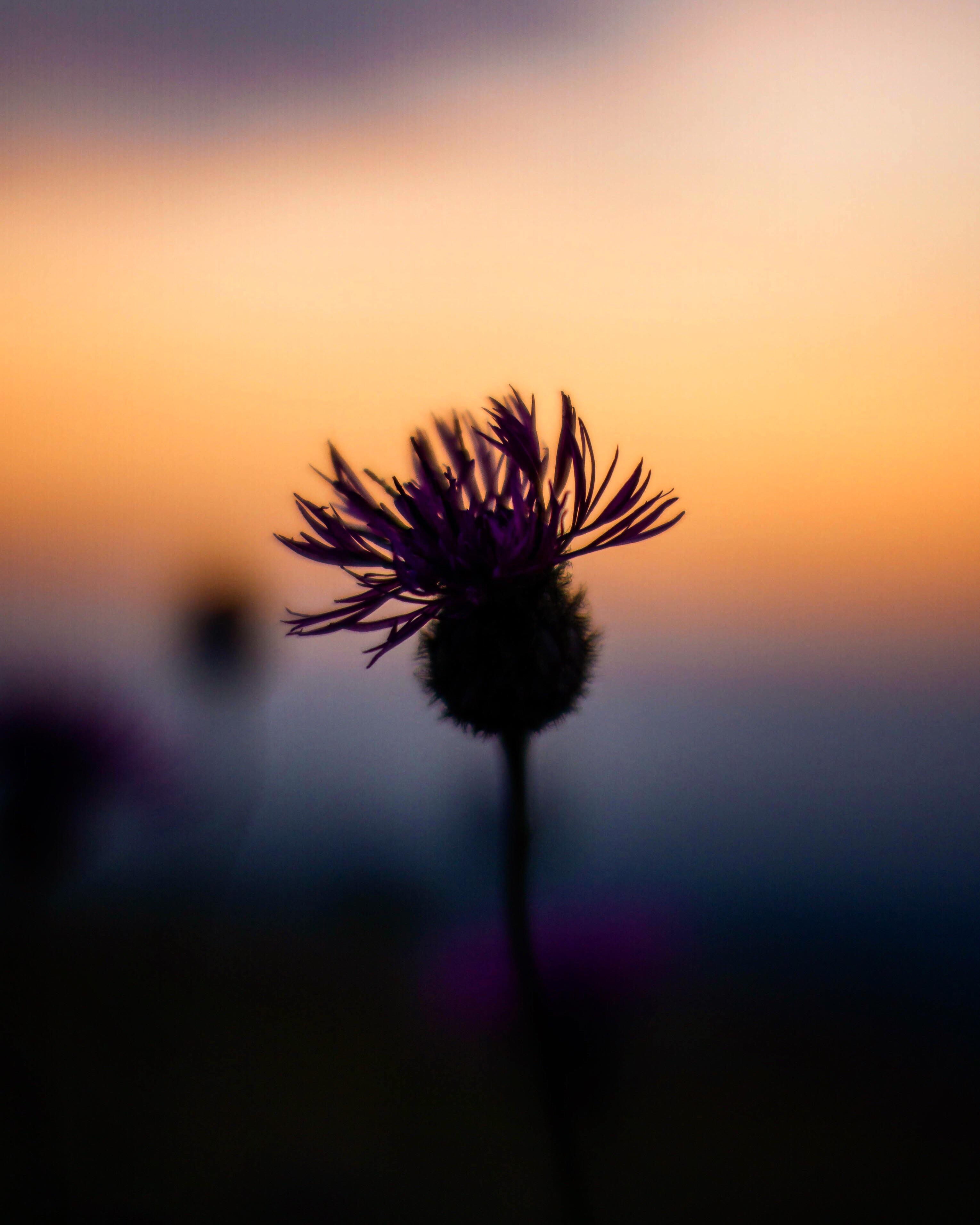 Focused on the details | Scrolller