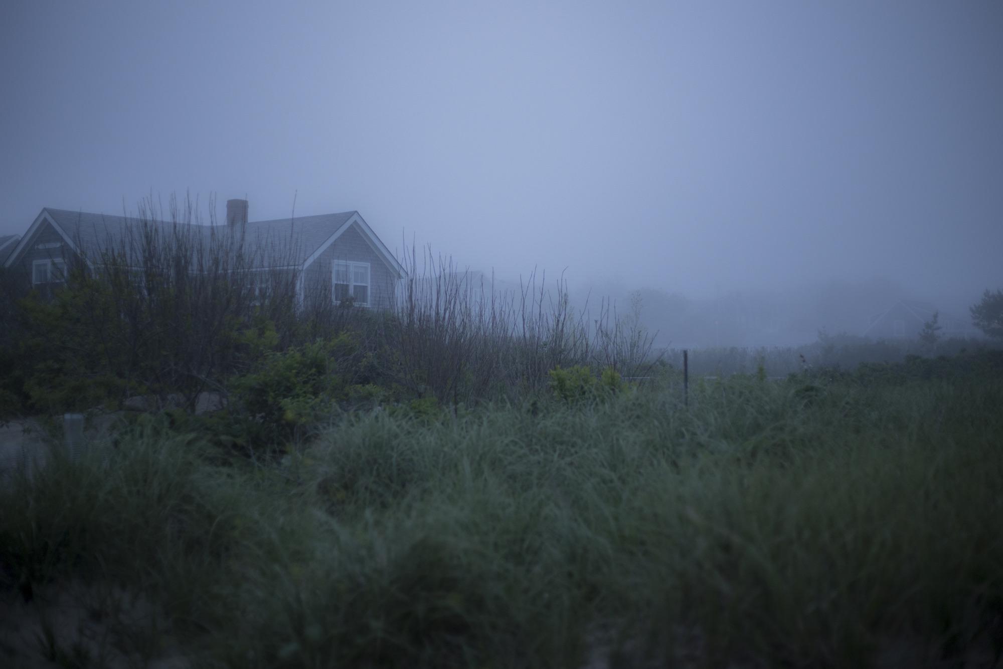 Fog Island | Scrolller